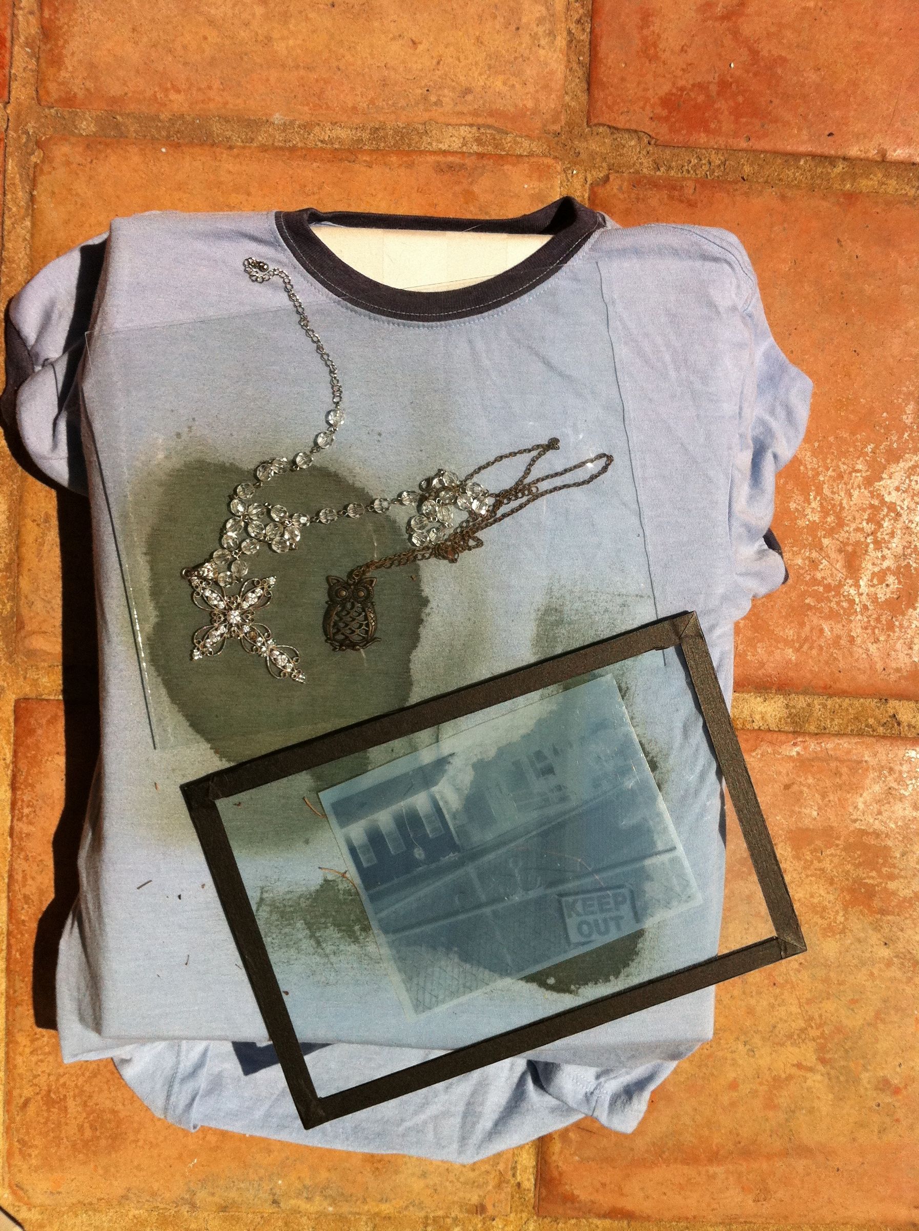 Cyanotypes on Fabric : 6 Steps (with Pictures) - Instructables