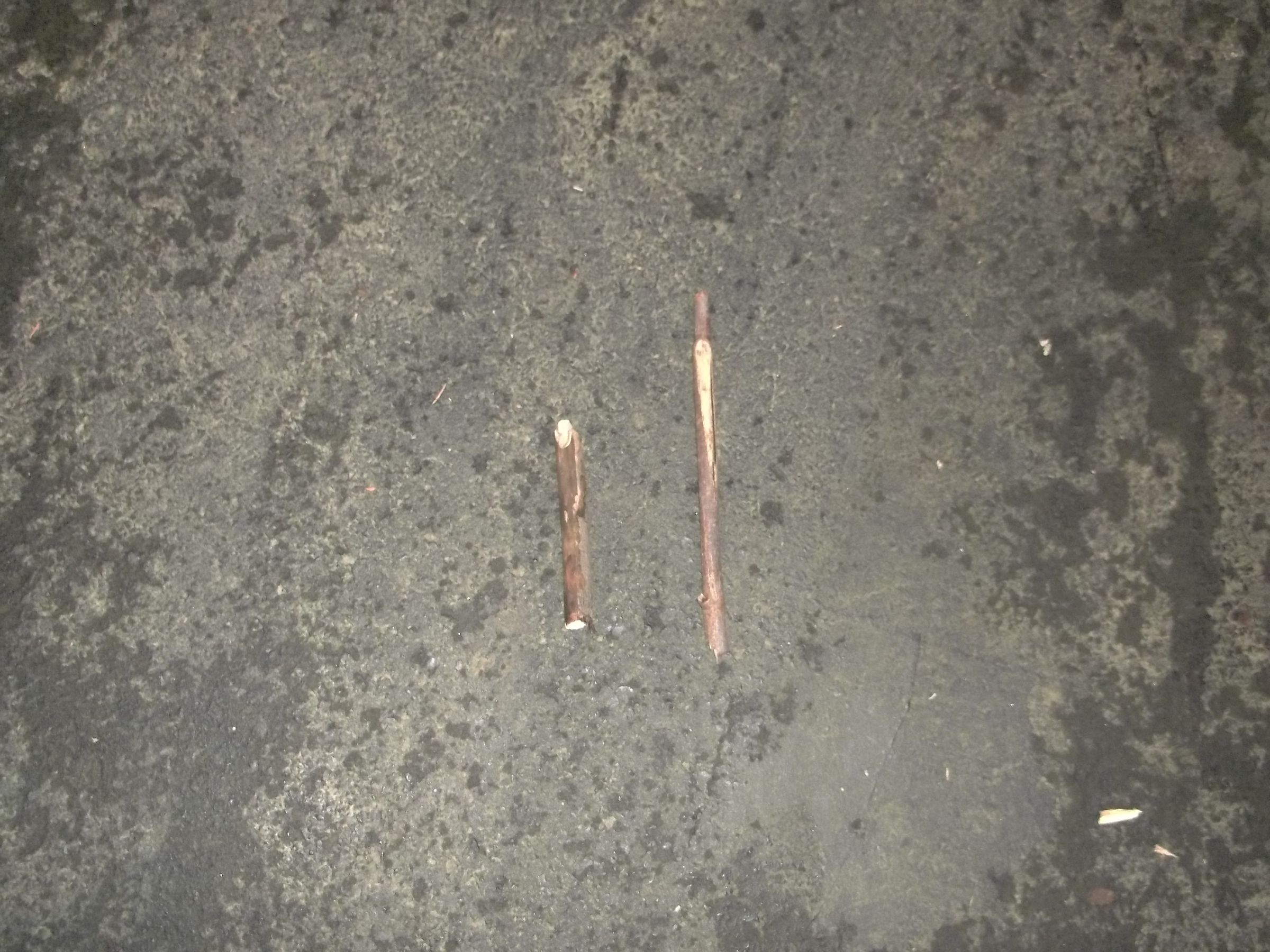 How to Make a Two Stick Deadfall Trap. - Instructables