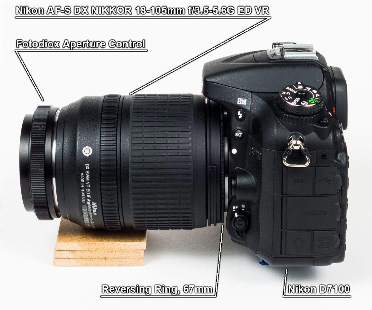 DSLR Macro Photography: a Comprehensive Overview : 22 Steps (with ...