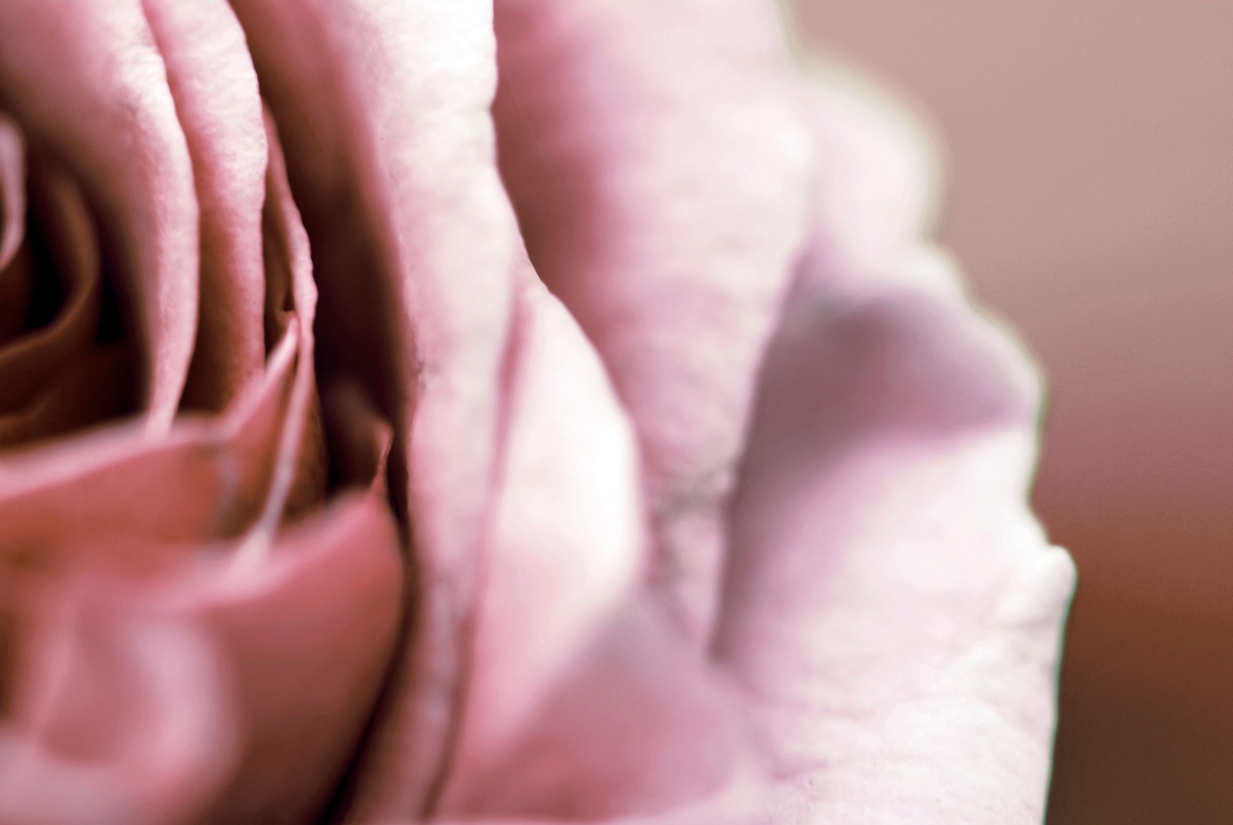 Macro Photography and Photomicroscopy : 9 Steps (with Pictures ...