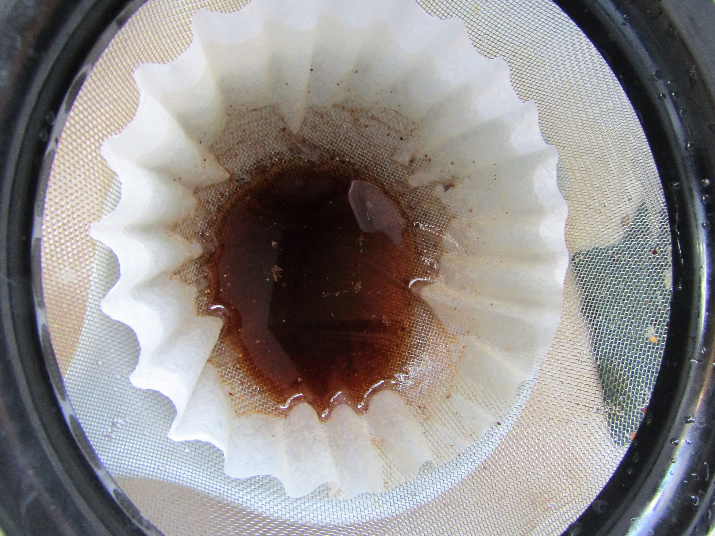 How to Eat a Dandelion : 10 Steps (with Pictures) - Instructables