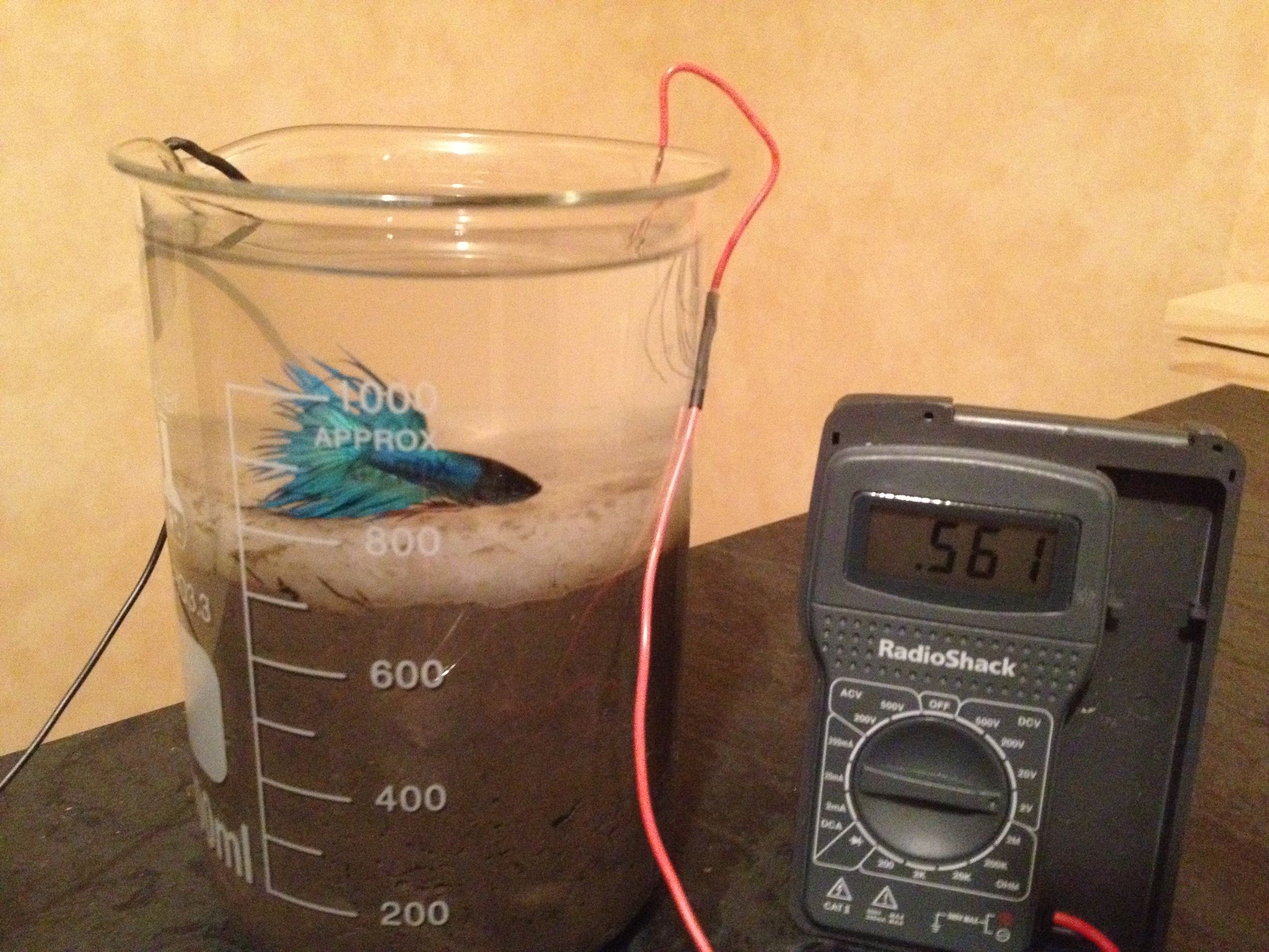 Microbial Fuel Cell of Science!!! : 4 Steps (with Pictures) - Instructables