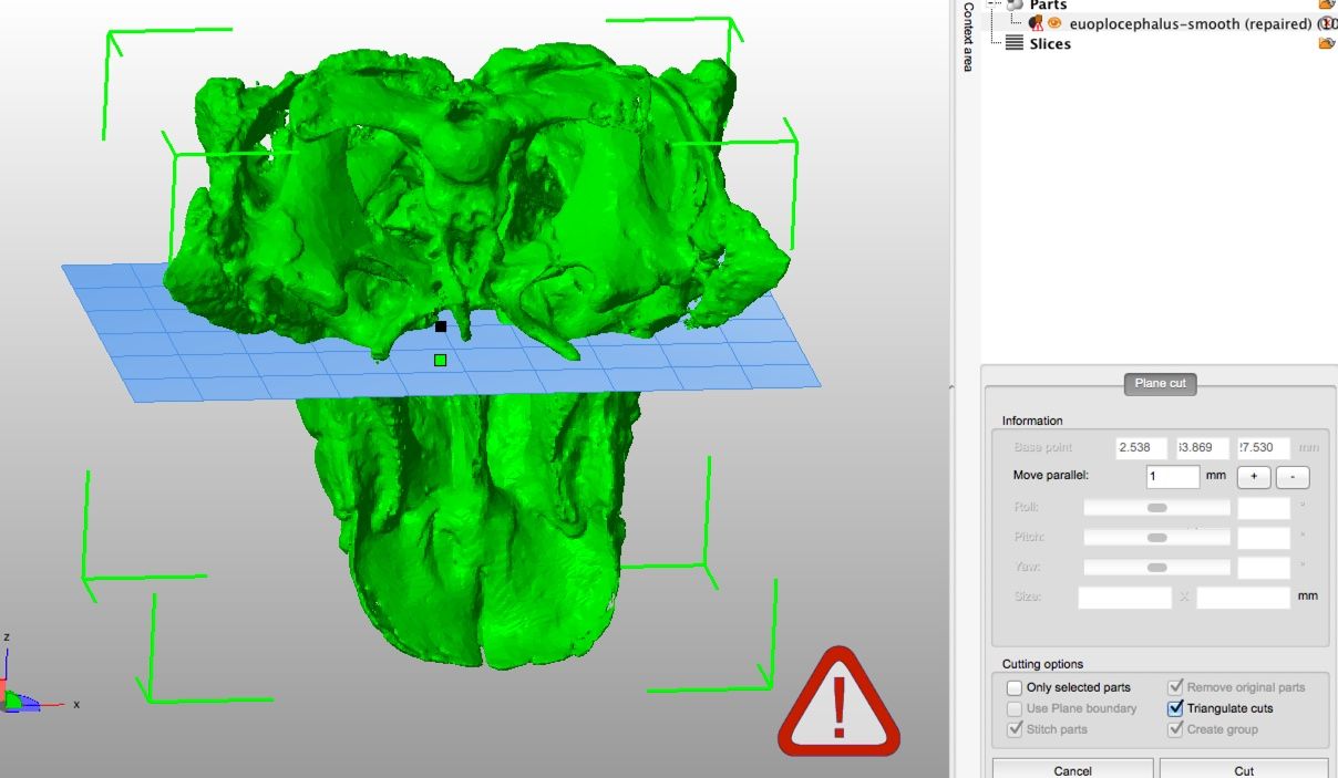 How to Convert Medical Scan Data Into a 3D Printable Model (also ...
