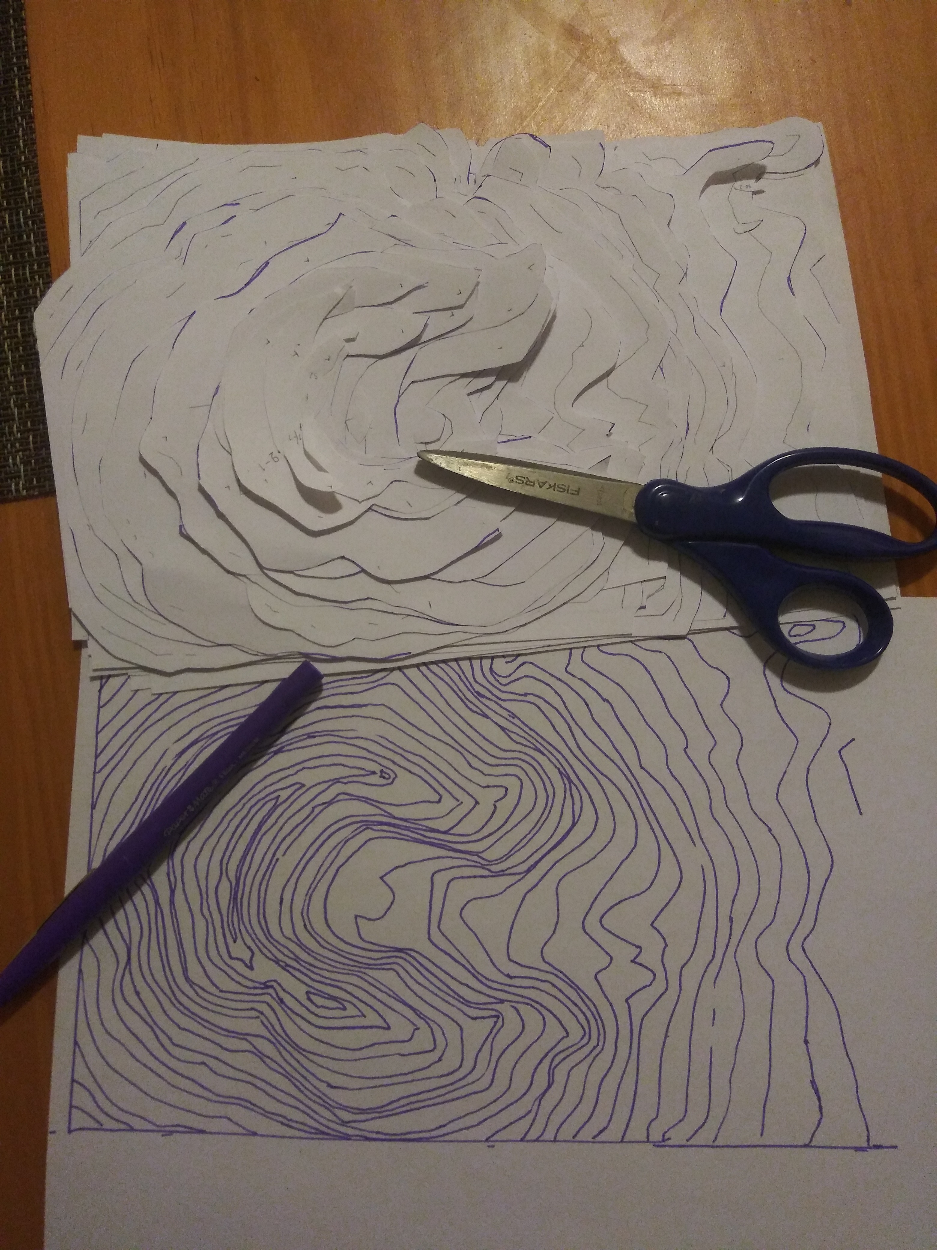 Cardboard 3D Topography: Favorite Places Project : 9 Steps (with ...