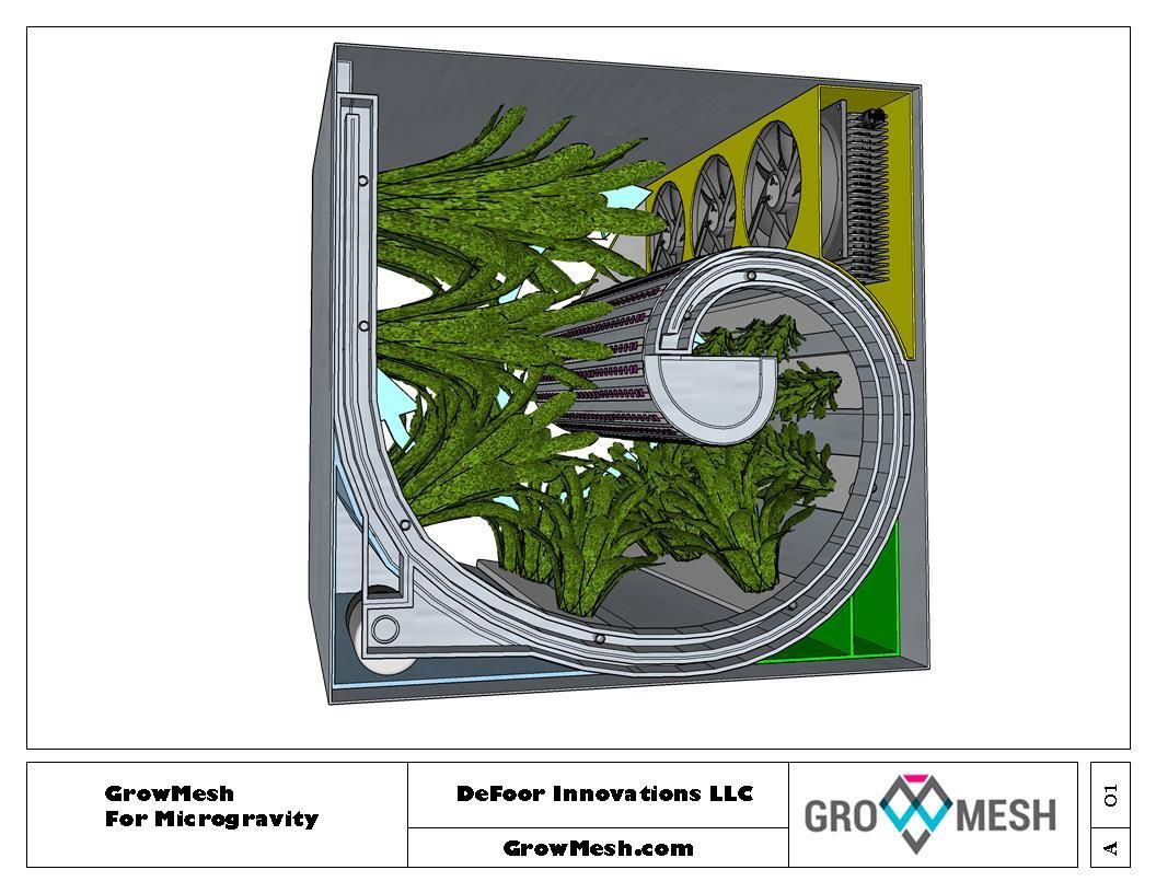 GrowMesh for Microgravity : 5 Steps - Instructables
