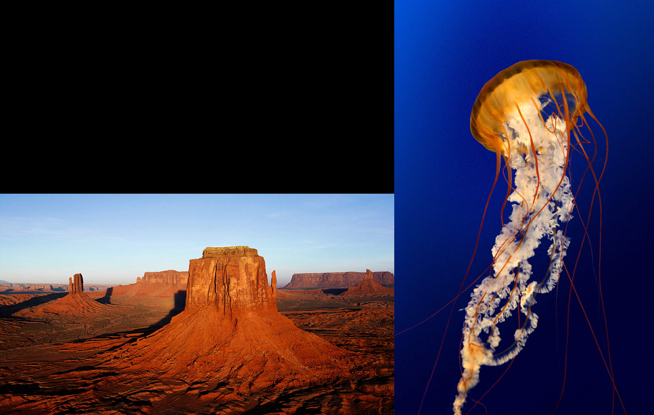 Configuring Separate Wallpapers for Multiple Monitors : 7 Steps ...