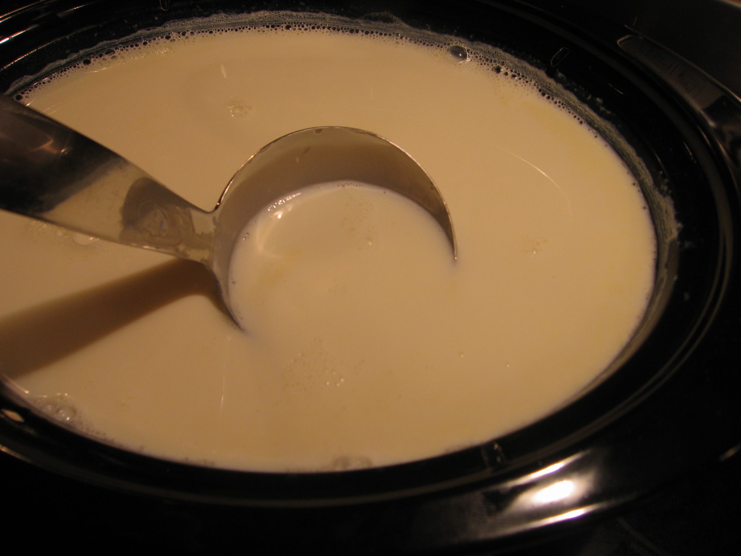 Homemade Yogurt : 7 Steps (with Pictures) - Instructables