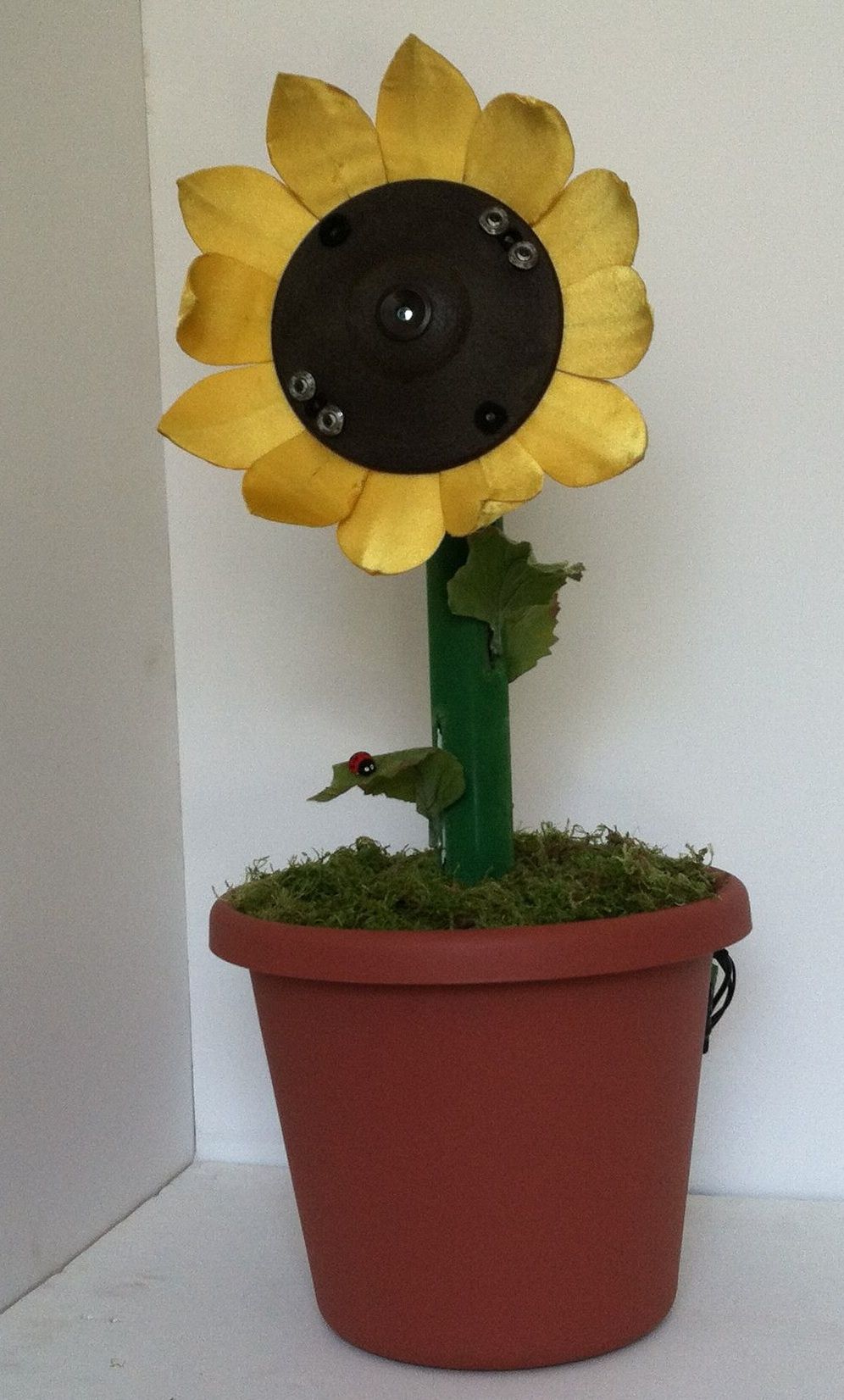 Sunflower Automaton : 11 Steps (with Pictures) - Instructables