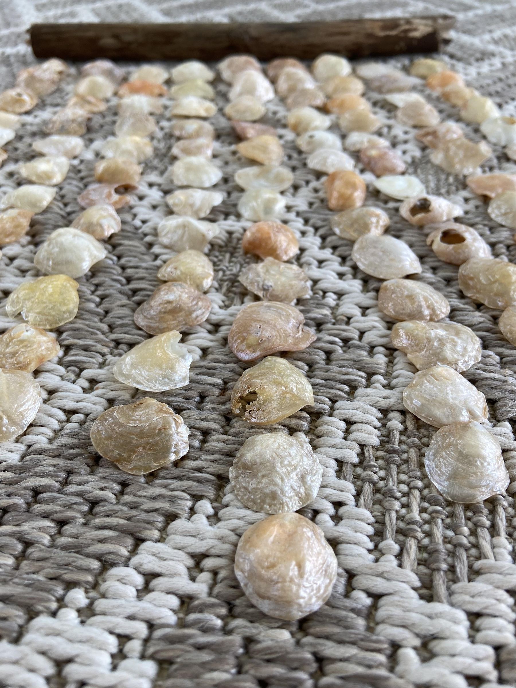 Seashell Wall Hanging : 6 Steps (with Pictures) - Instructables