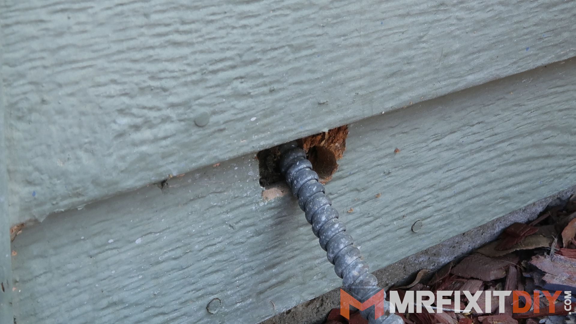 Top 5 DIY Ways to Get Rid of Ants : 6 Steps - Instructables