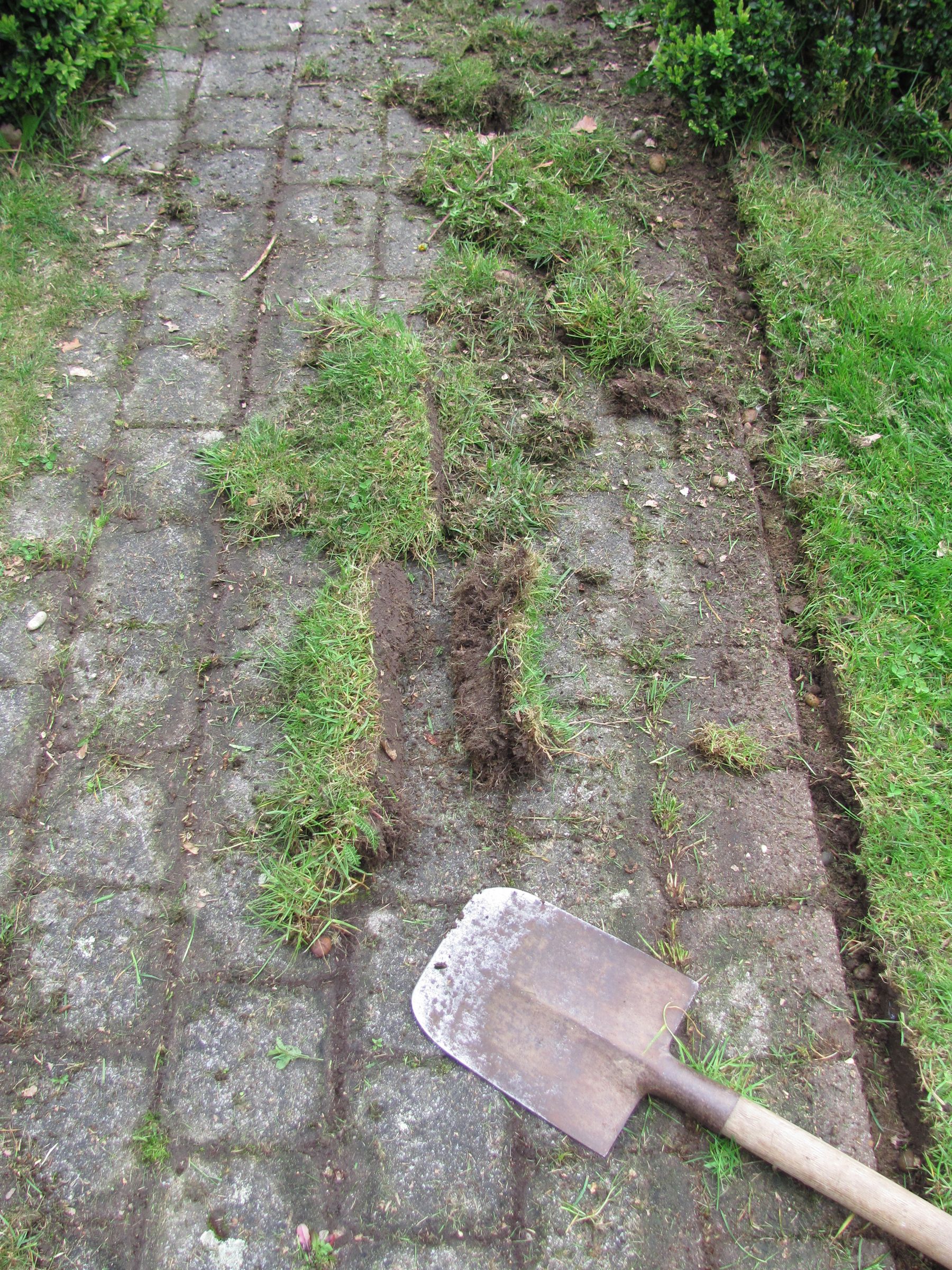 Grass Patching - Instructables