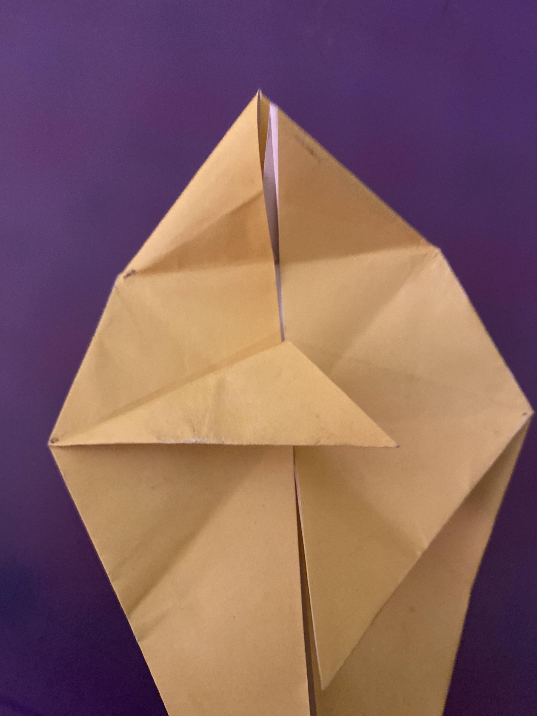 Origami Rat : 27 Steps - Instructables