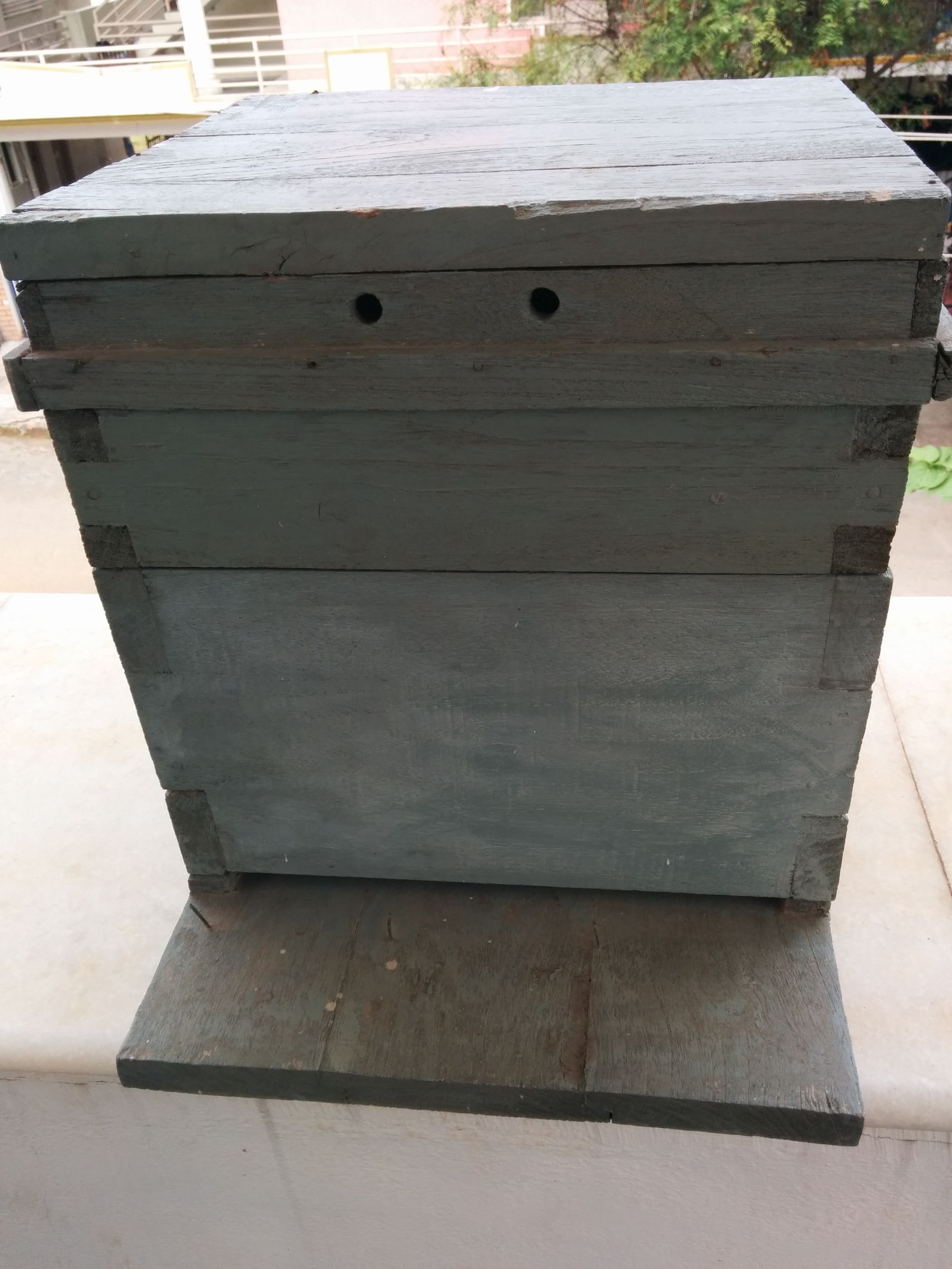 Build a Beekeeper’s Hive (Artificial Hive) : 8 Steps (with Pictures ...