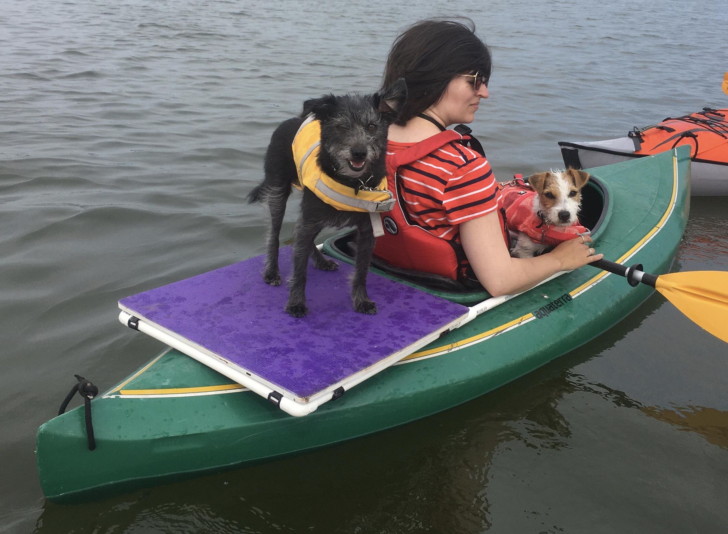 Kayak Dog Platform : 4 Steps (with Pictures) - Instructables