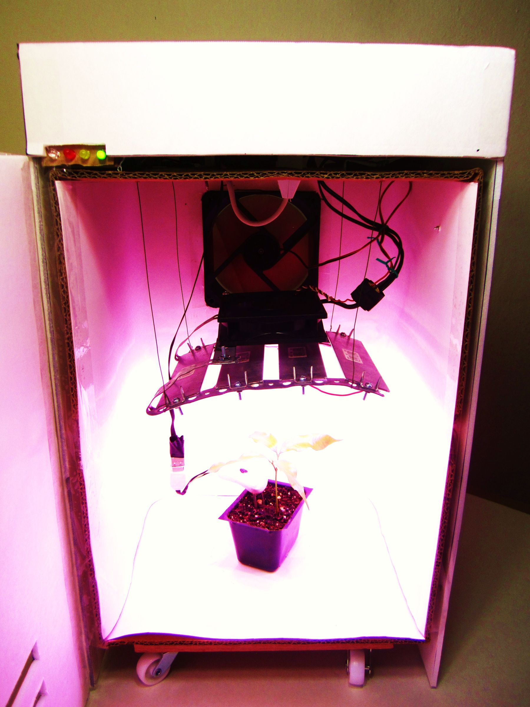 The Plant Box : 6 Steps - Instructables