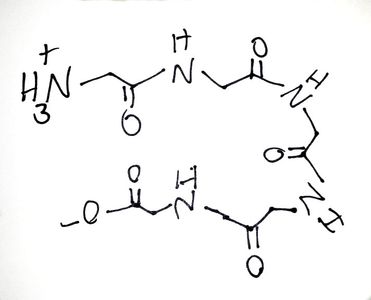 How to Draw Peptide Chains : 18 Steps (with Pictures) - Instructables