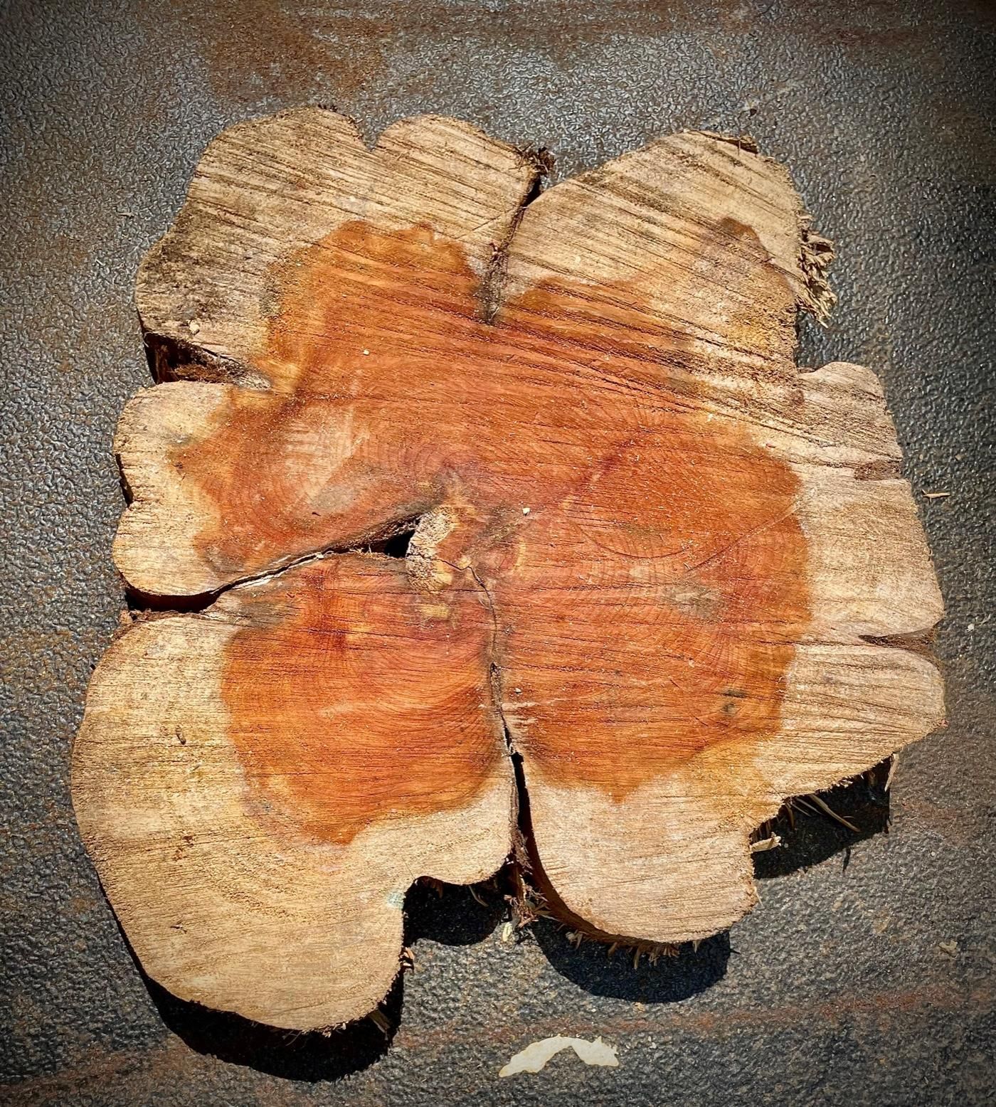 How to Stretch Wood - Sculpture/Carving : 8 Steps (with Pictures ...