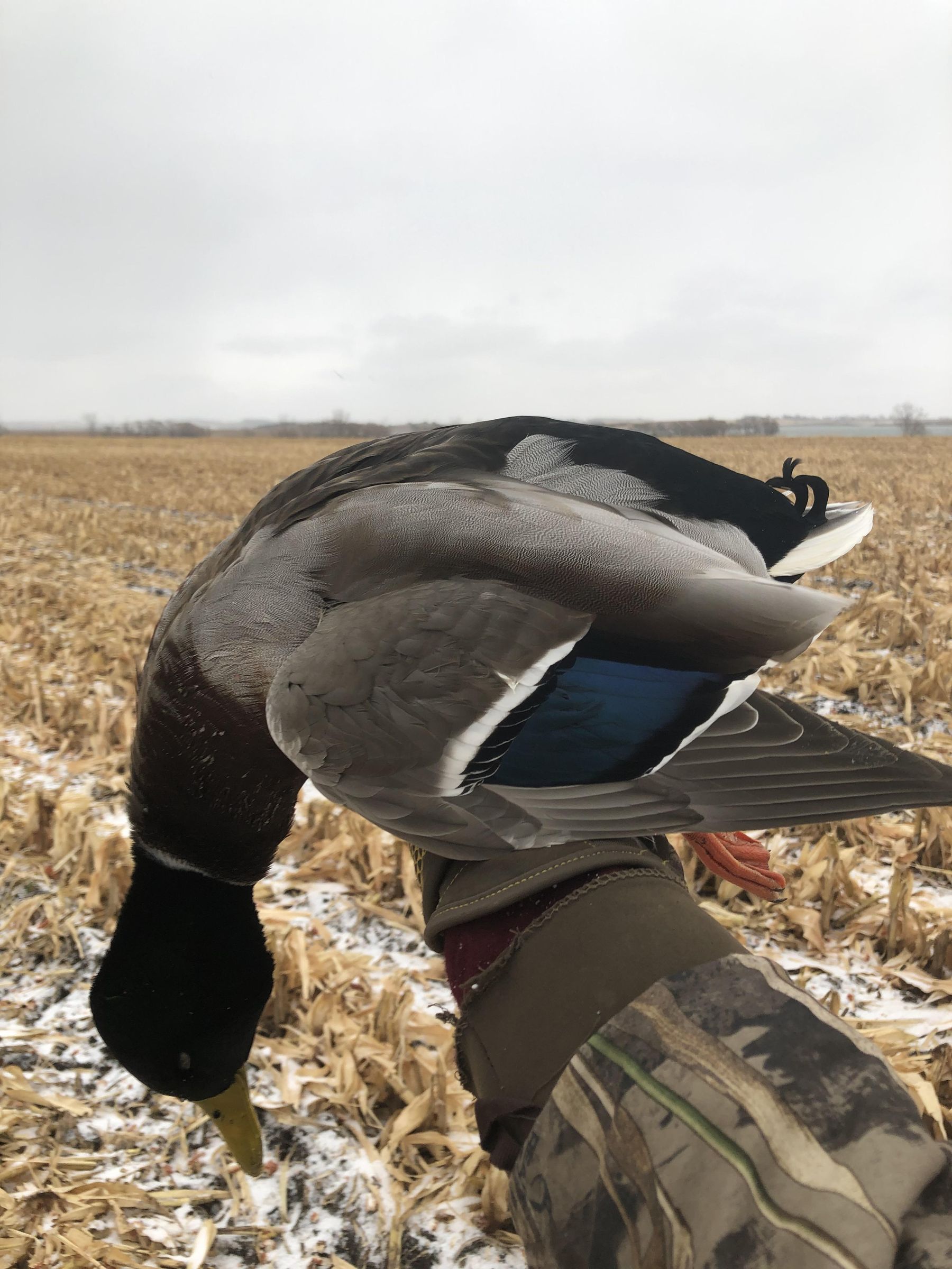 How to Setup Decoys : 5 Steps - Instructables