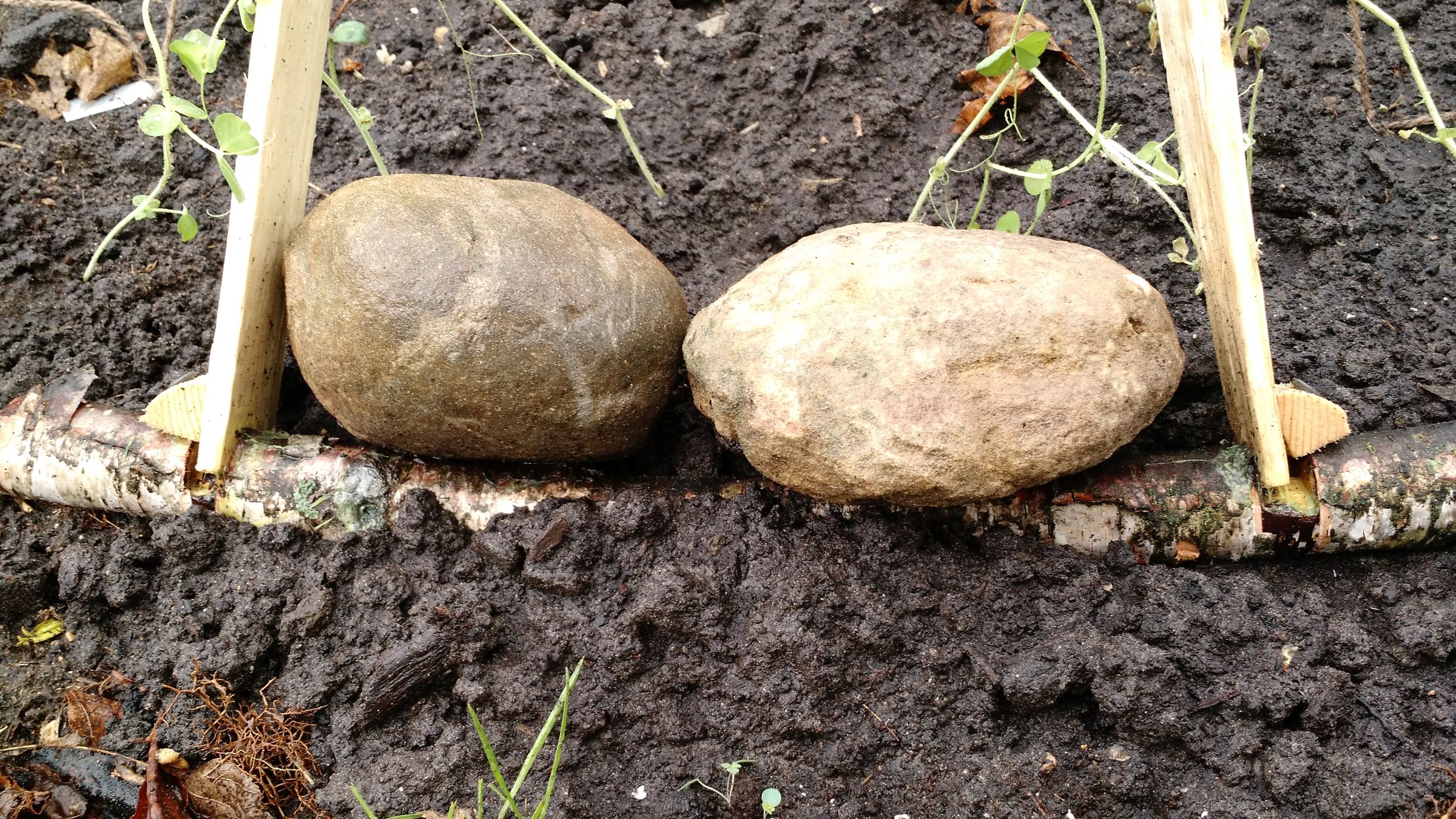 Repurpose Your Rocks! : 3 Steps - Instructables
