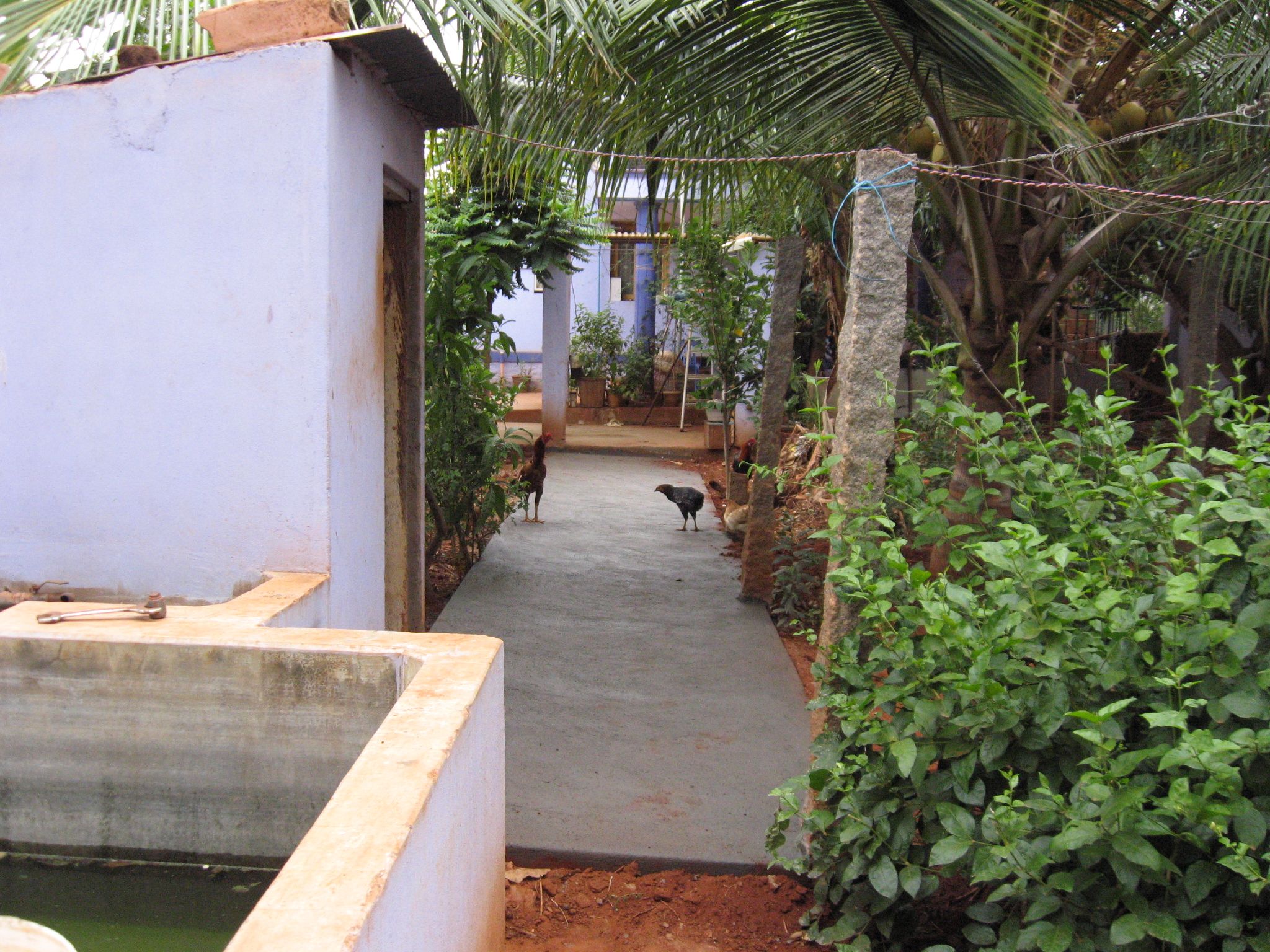 Home Improvement : Constructing a Paved Footpath in the Kitchen Garden ...