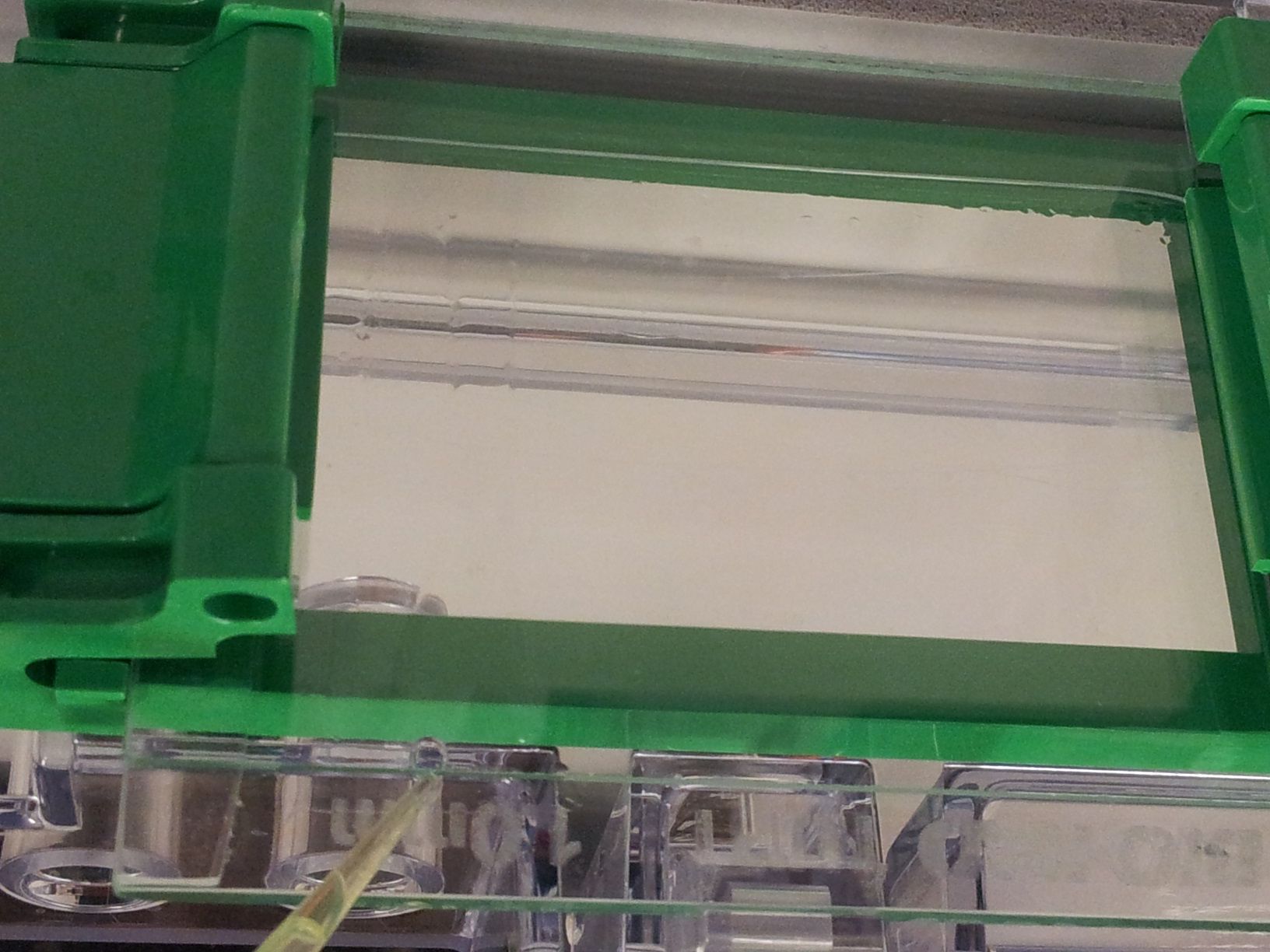 Evaluation for an APS/TEMED Aliquot in the SDS-PA Gel Protocol : 8 ...