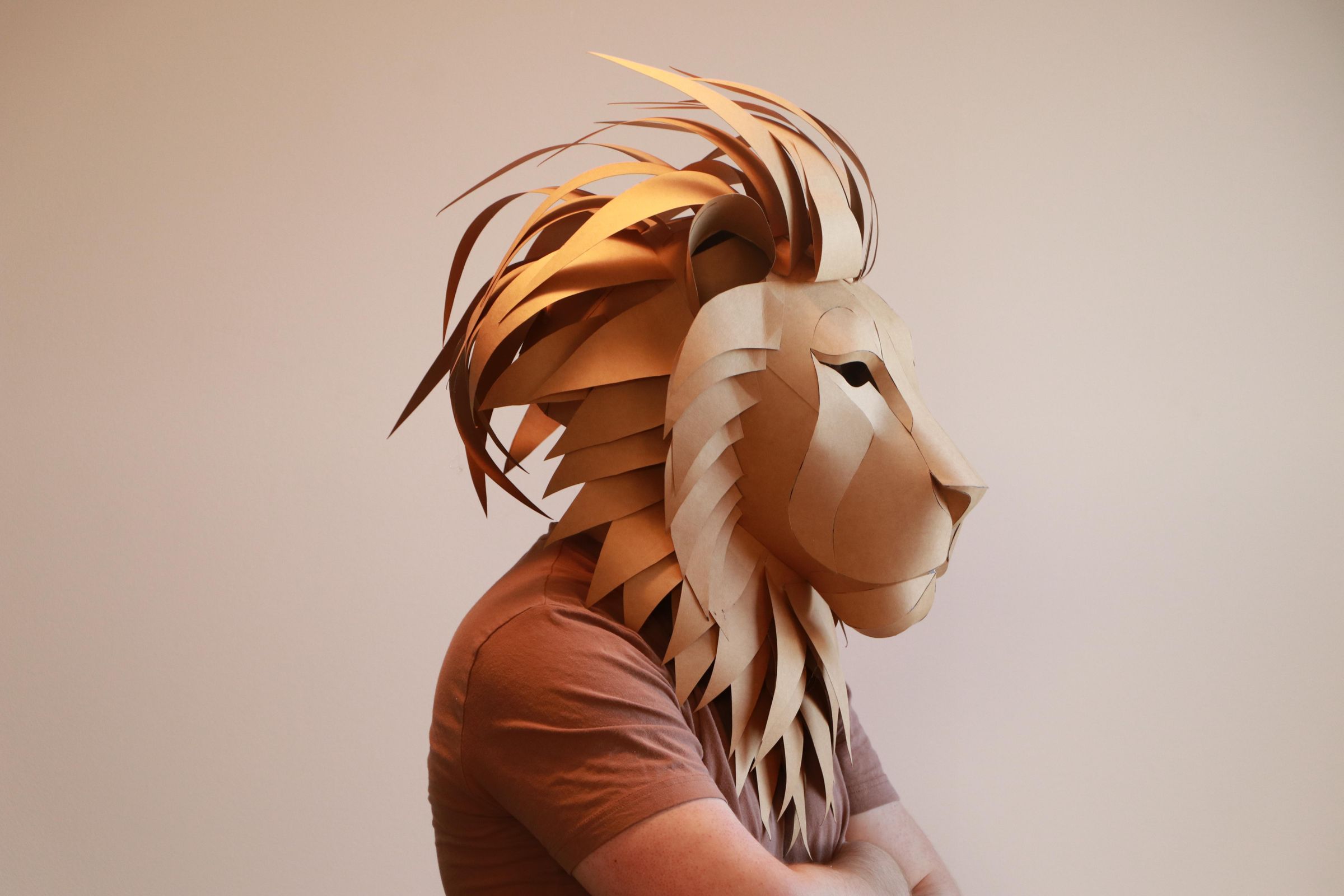 A Stylish Cardboard Lion Mask With Smooth Lines. Easy-to-follow ...