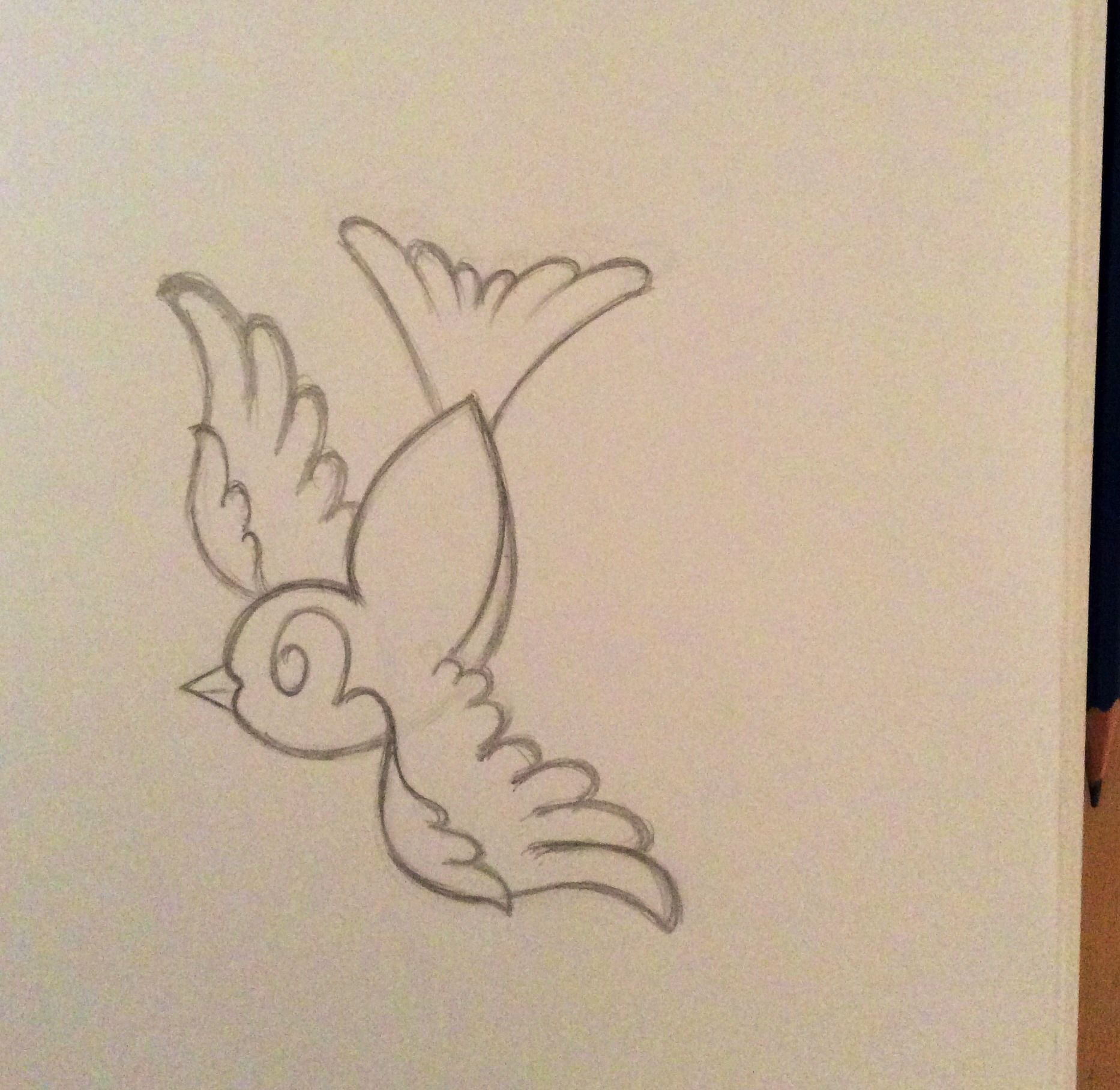 How to Draw a Swallow : 10 Steps (with Pictures) - Instructables