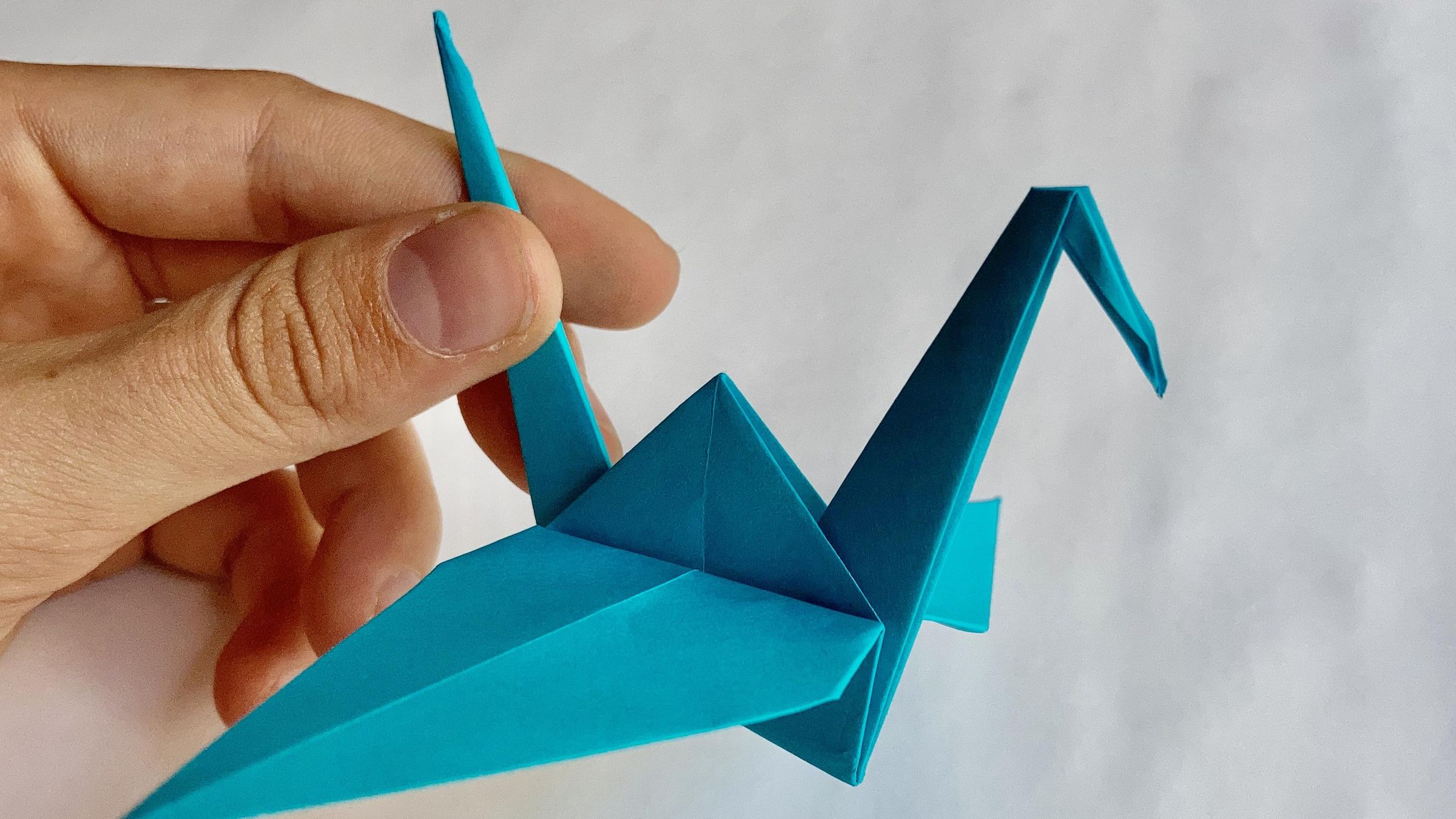 How to Make an Origami Crane (with Pictures) : 10 Steps (with Pictures ...