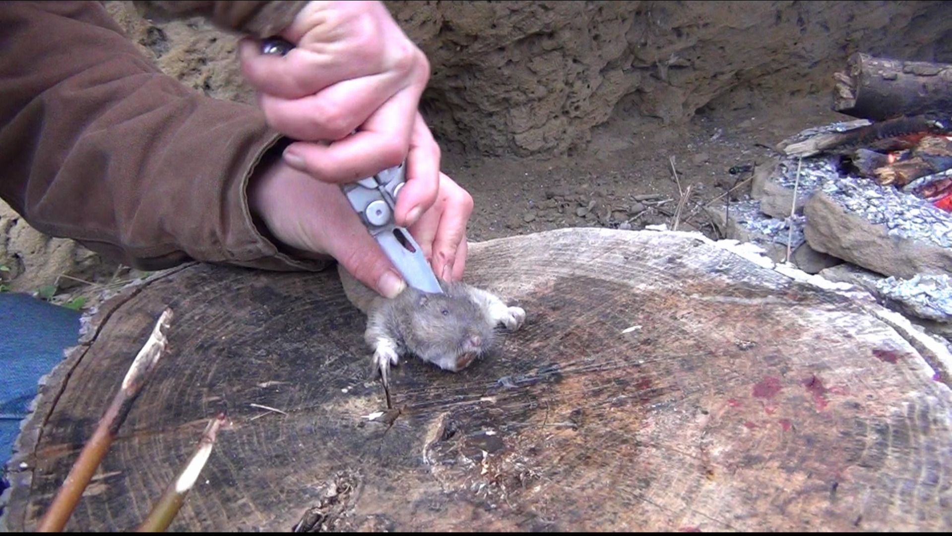 How to Skin and Cook Gopher : 7 Steps (with Pictures) - Instructables