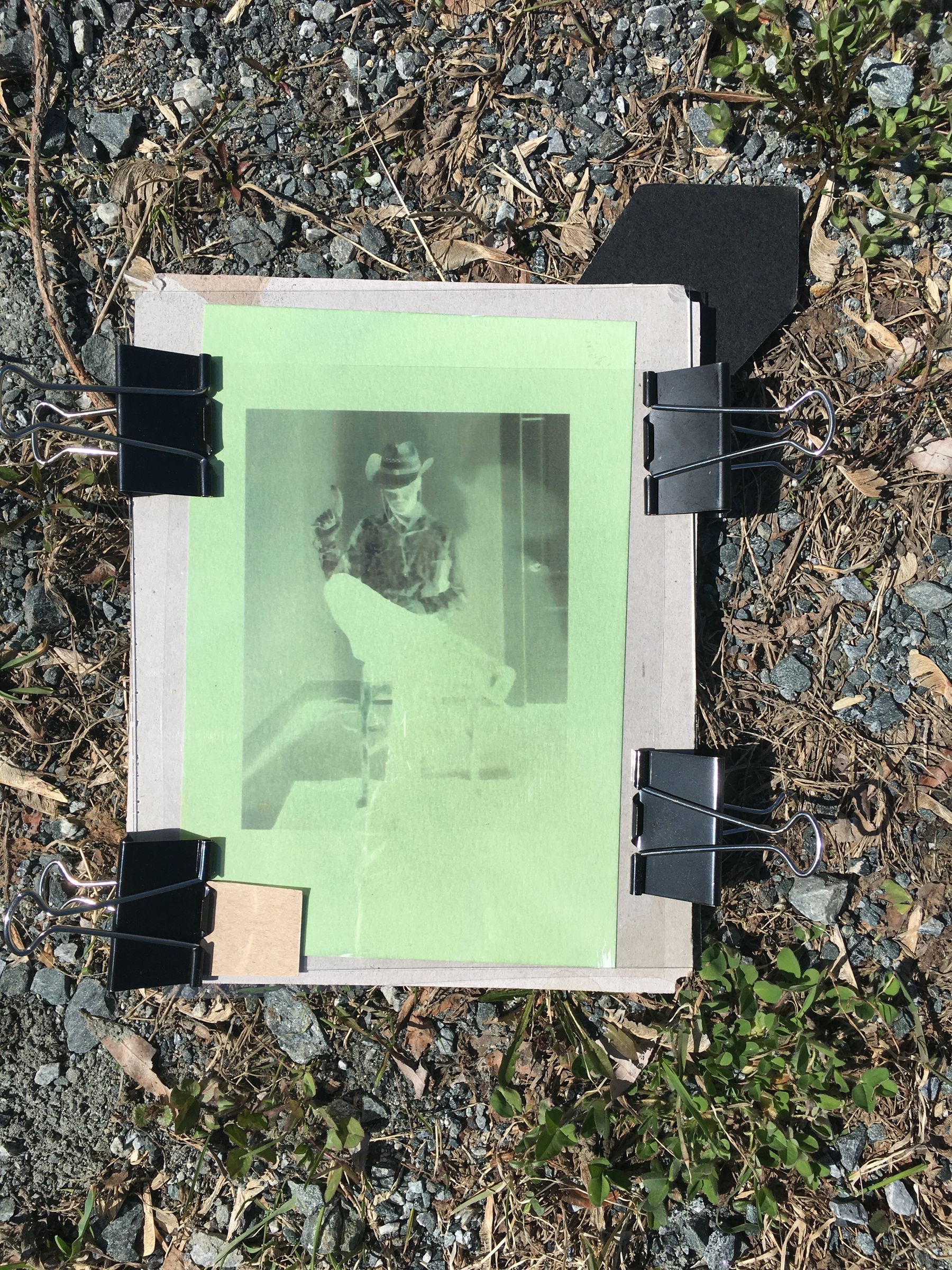 Alternative Photography: Anthotype & Cyanotype : 5 Steps (with Pictures ...