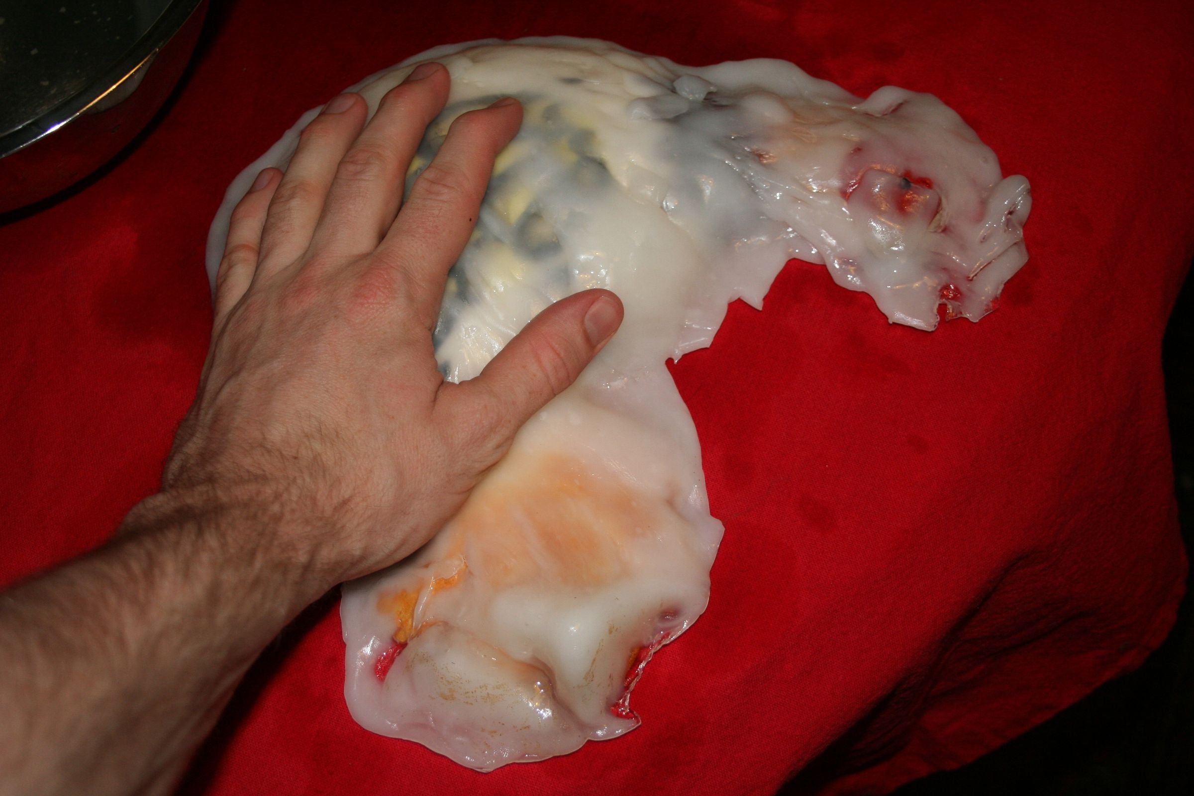 Concrete Chicken (or Anything Else) With Polymorph : 7 Steps ...