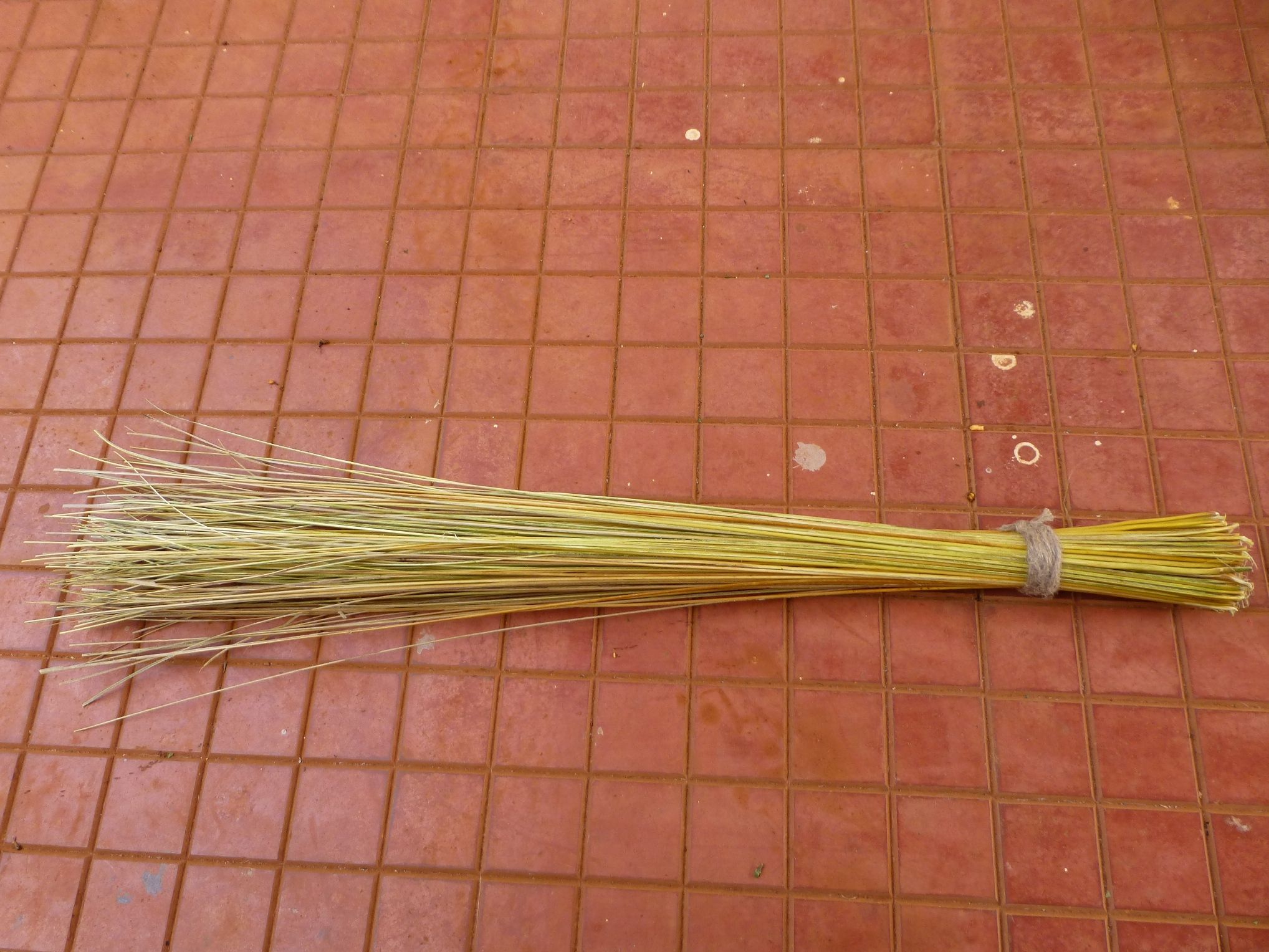 Zero Budget Broom From Coconut Tree Leaves : 7 Steps (with Pictures ...