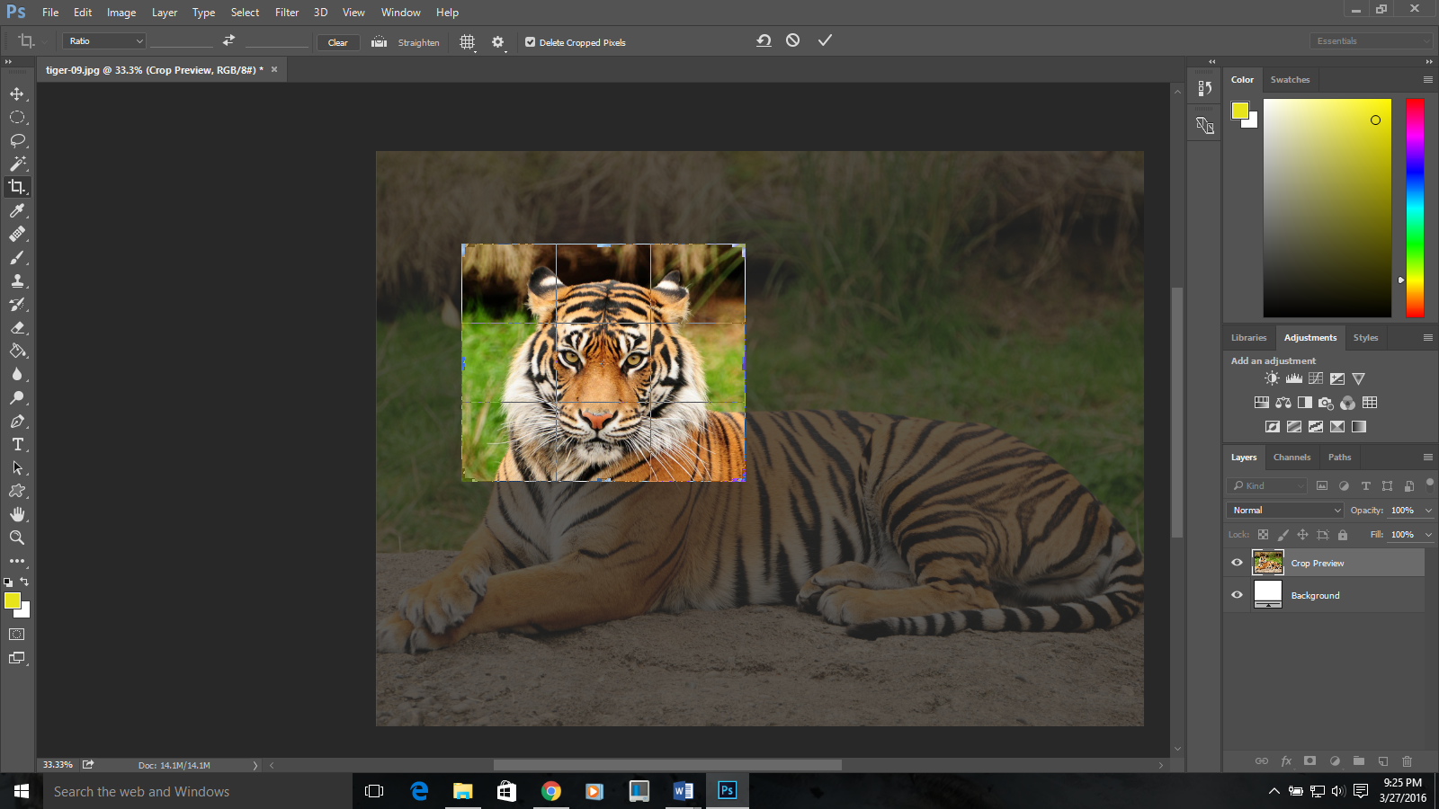 Learning the Basics of Adobe Photoshop : 6 Steps - Instructables