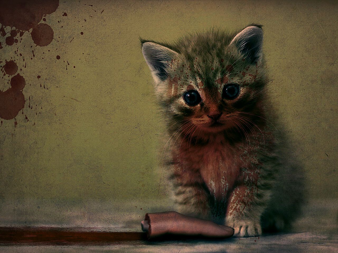 Bad Kitty Photo-Edit : 4 Steps - Instructables