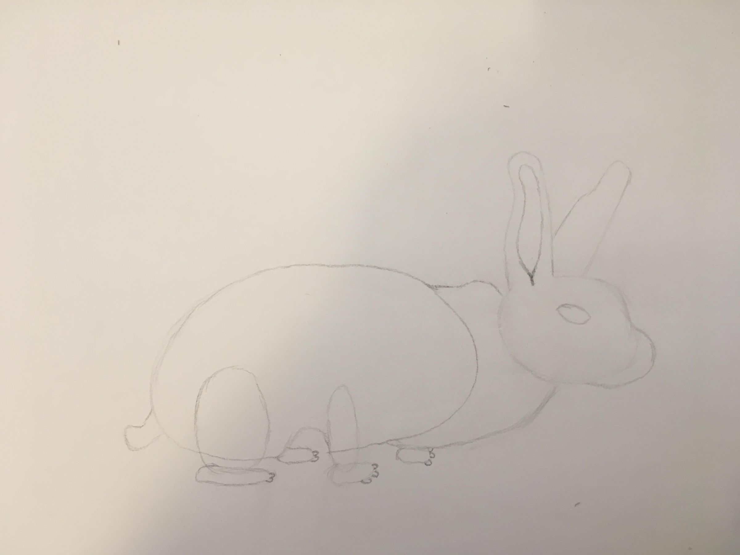How to Draw a Realistic Bunny (standing) : 26 Steps - Instructables