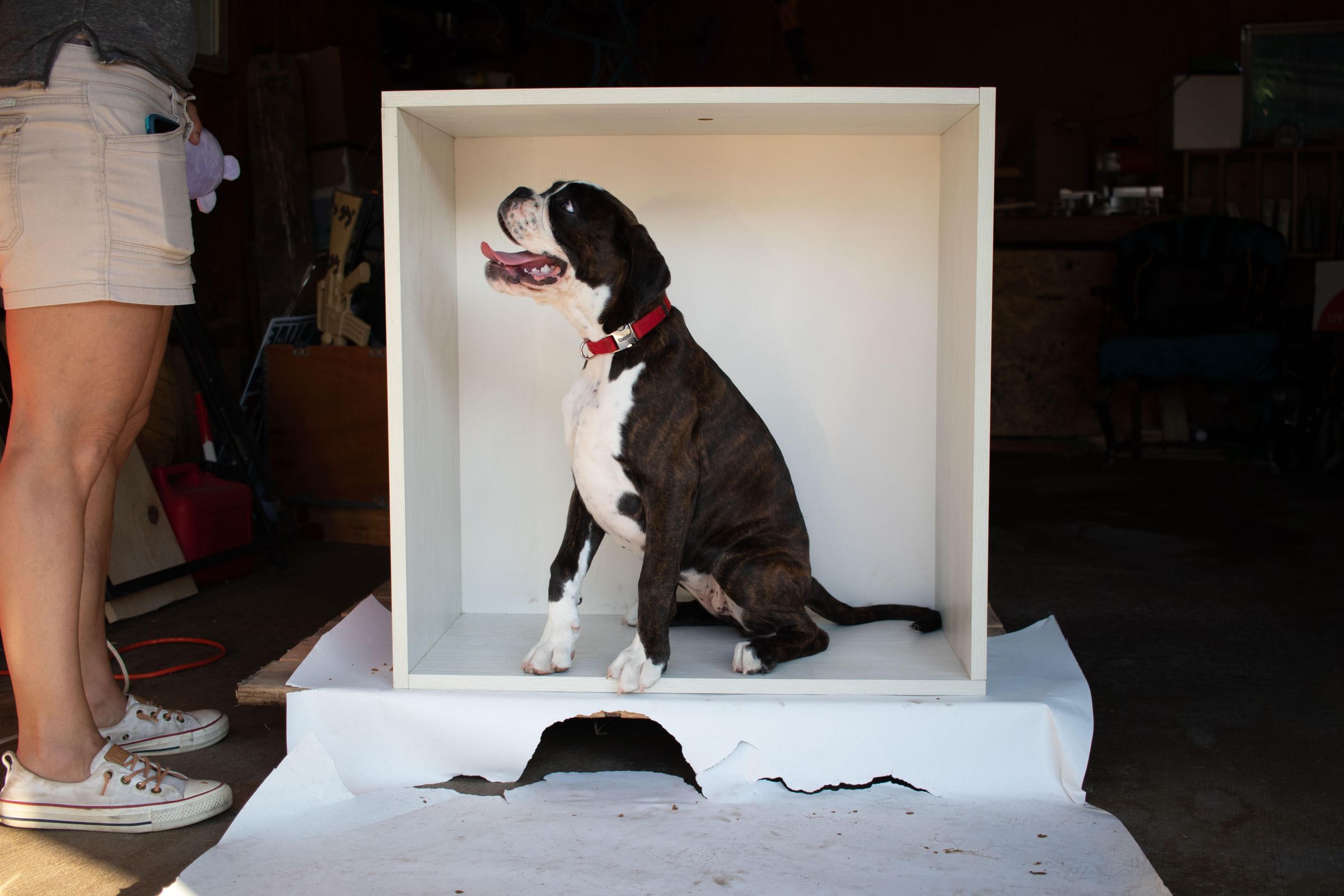 In the Box Photography : 10 Steps (with Pictures) - Instructables