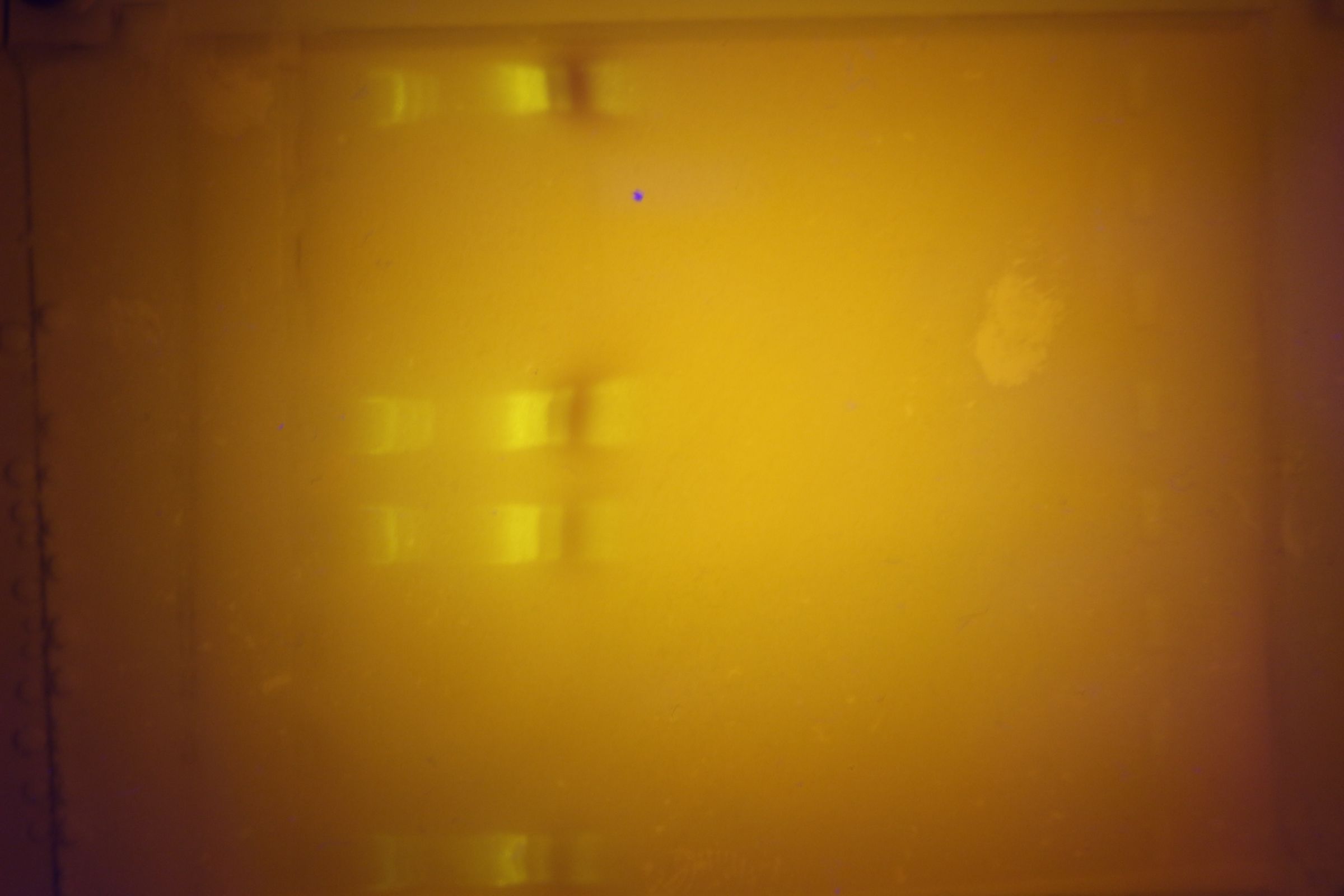 Gel Electrophoresis Integrated System (GelIS) : 7 Steps (with Pictures ...