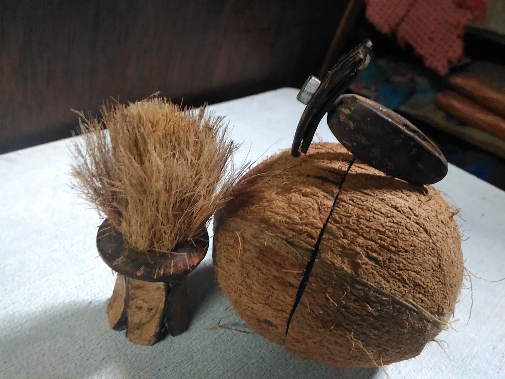 Shaving Kit From Coconut : 6 Steps (with Pictures) - Instructables