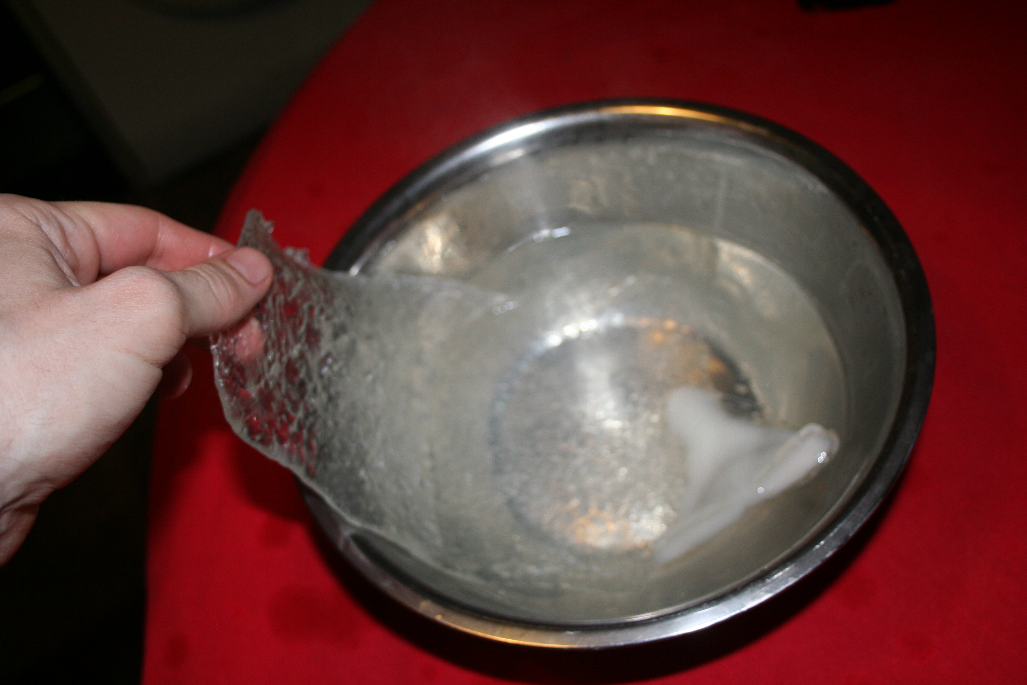 Concrete Chicken (or Anything Else) With Polymorph : 7 Steps ...