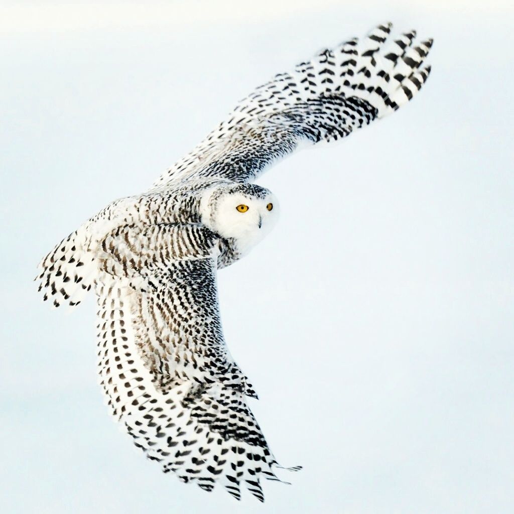 Mechanical Art Bots: Four-Bar Linkage Mechanism : 8 Steps (with ...