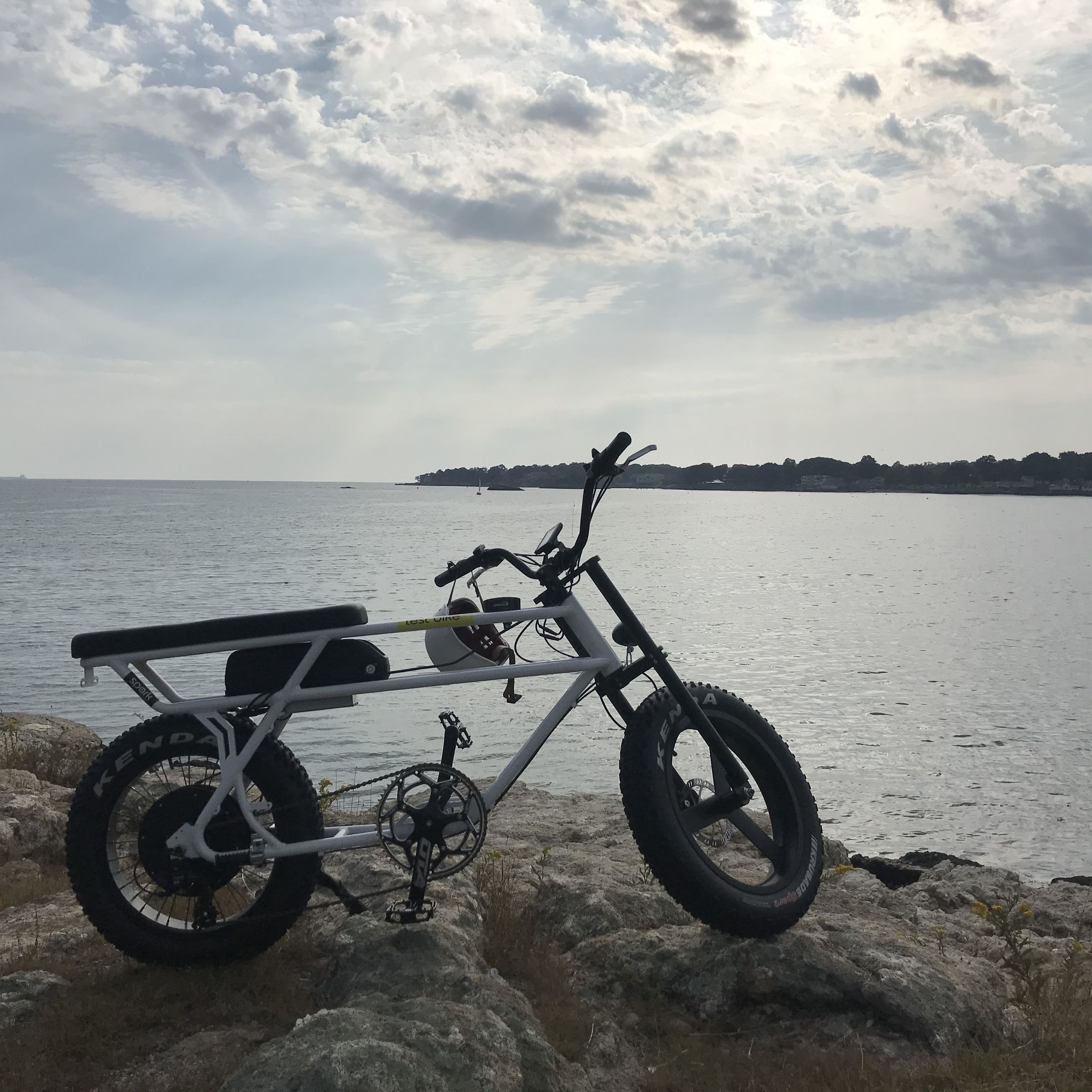 Two Wheel Drive Electric Moped : 4 Steps - Instructables