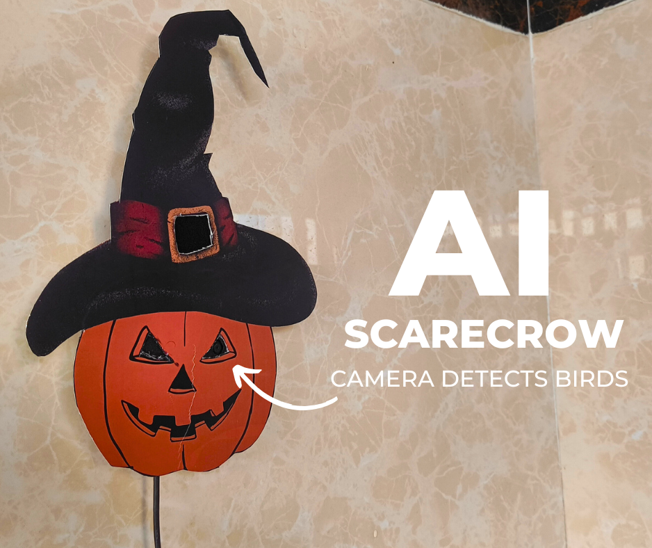 AI Scarecrow - Makes Noise When It Sees Birds : 9 Steps (with Pictures ...