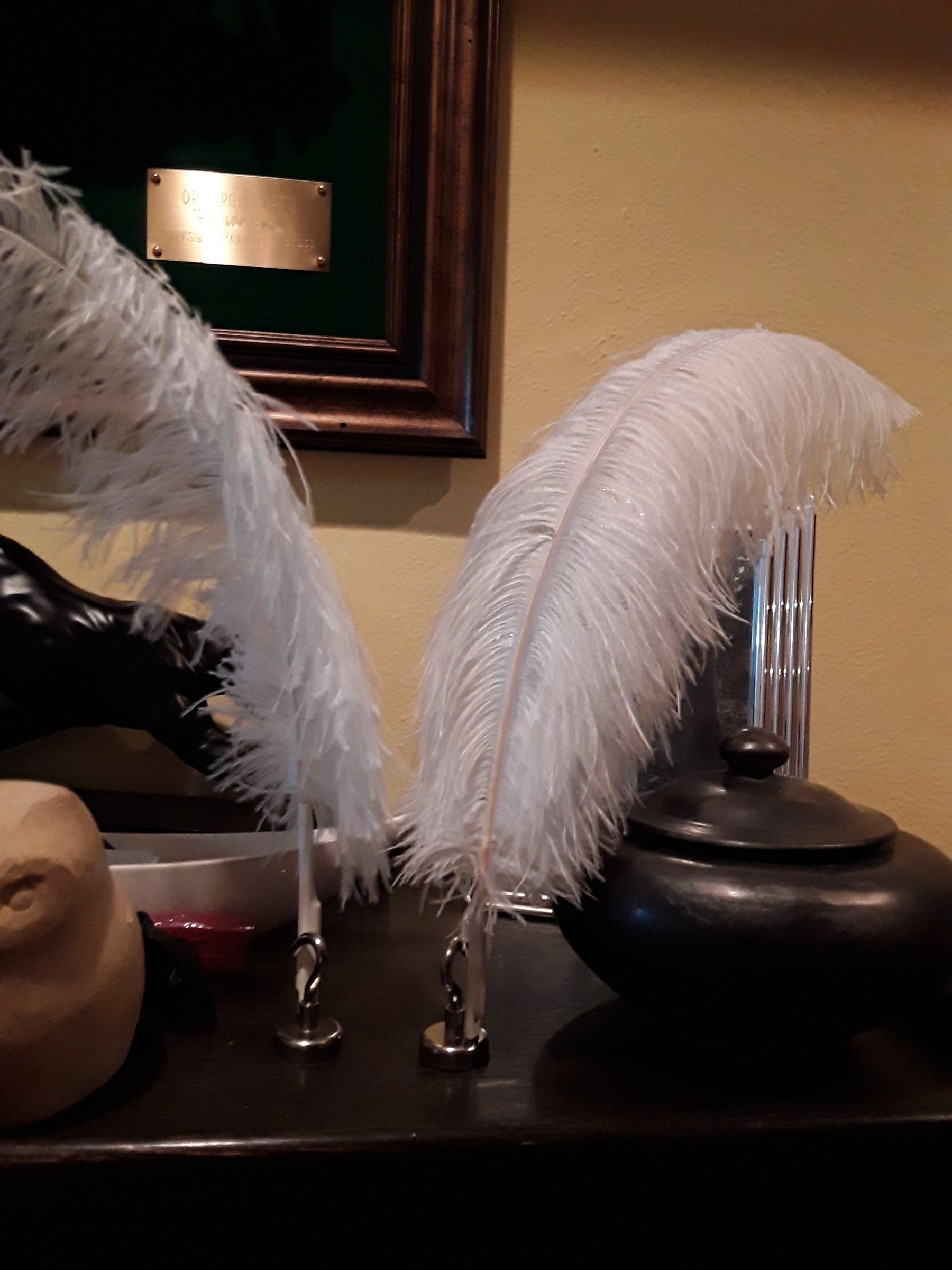 Magic Writing Quill : 9 Steps - Instructables