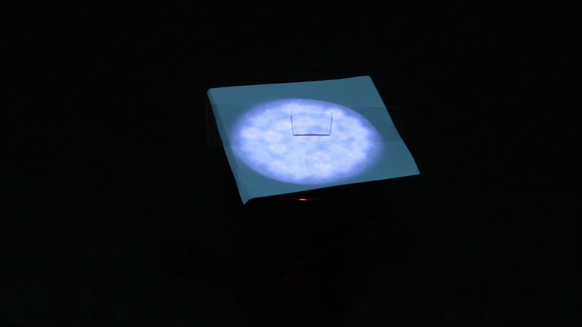 DIY Microscope Using Smartphone : 5 Steps (with Pictures) - Instructables