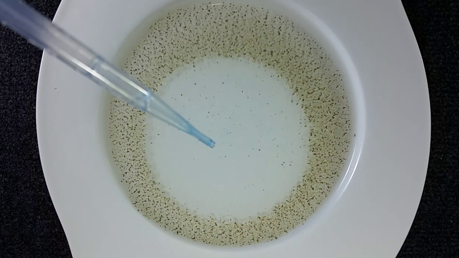 Surface Tension Of Water With Pepper