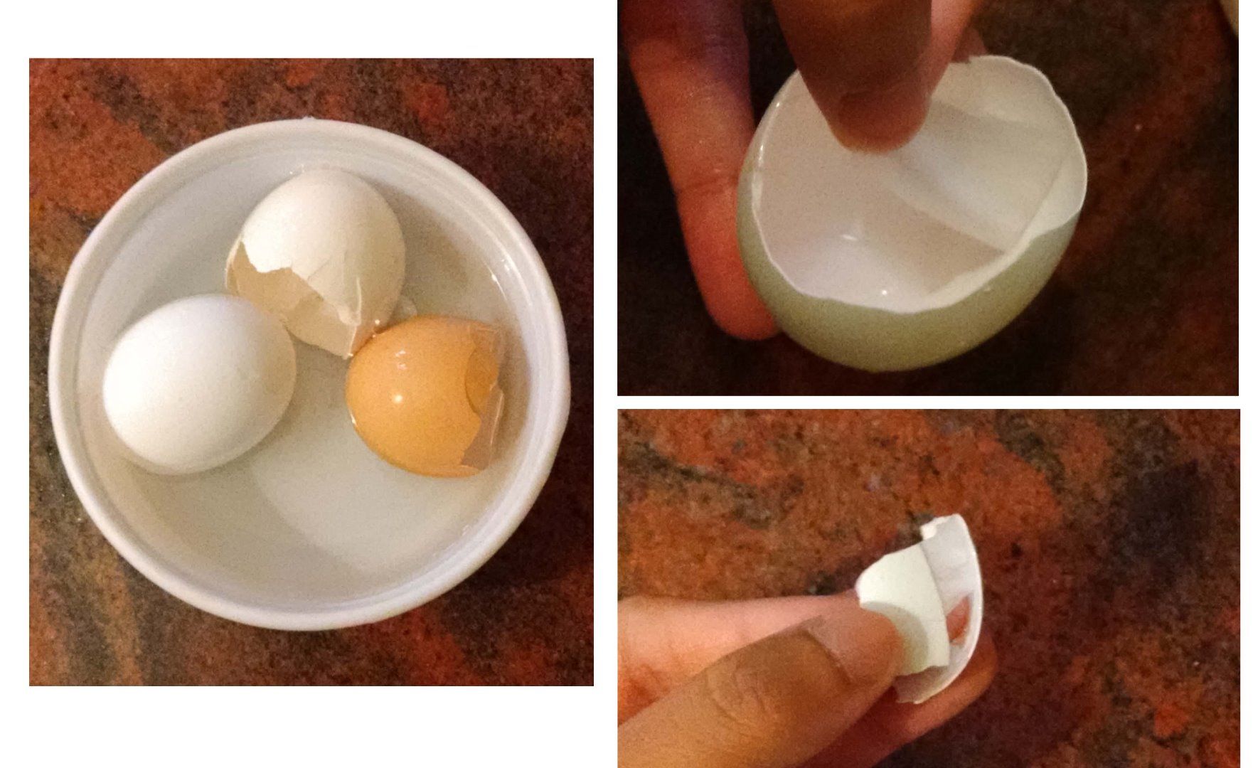 Egg Shell Decorated Jewelry : 7 Steps (with Pictures) - Instructables