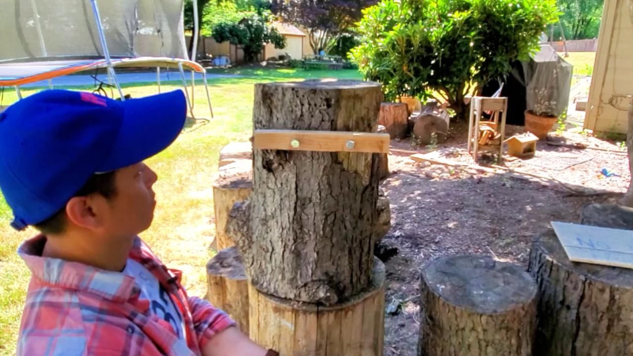DIY: Build a Ladder and Cut the Tree - Removing Large Trees Near Fences ...