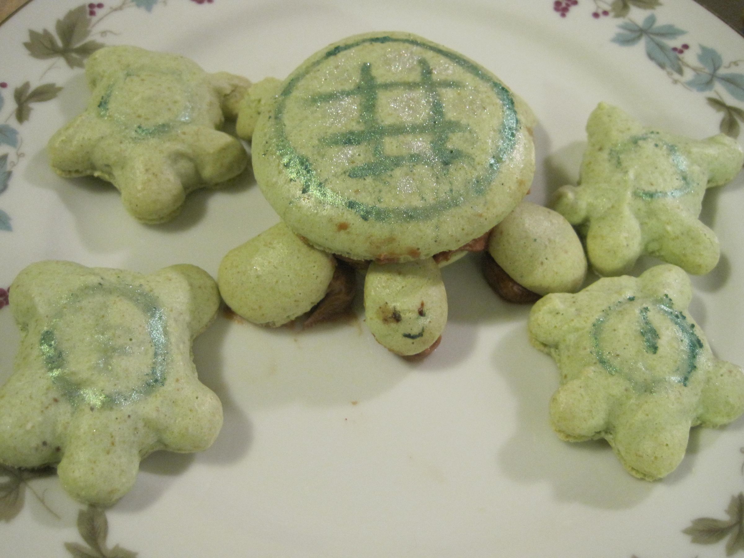 Green Turtle Pistachio Macaron : 5 Steps (with Pictures) - Instructables