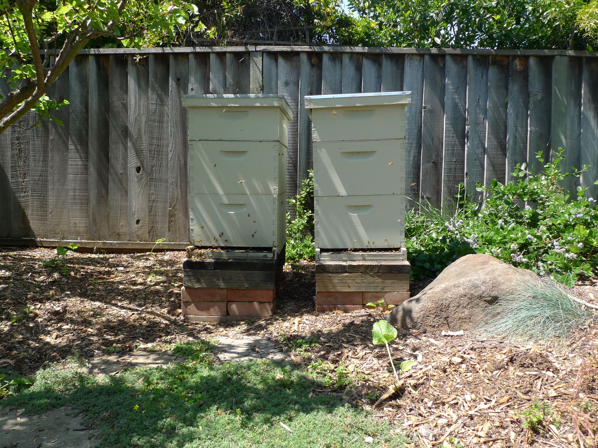 Extracting Honey : 8 Steps (with Pictures) - Instructables