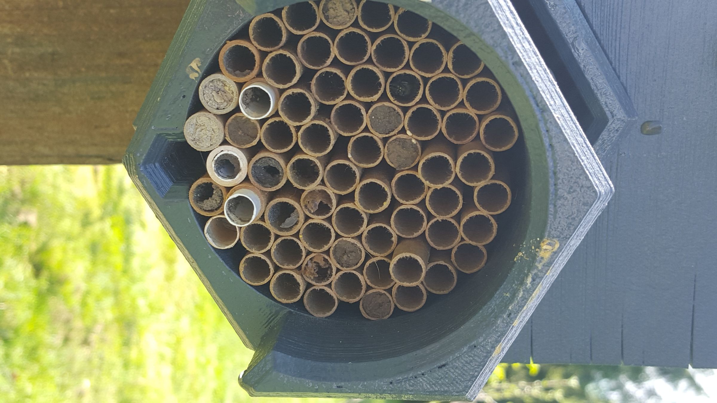 Mason Bee Hive : 3 Steps (with Pictures) - Instructables